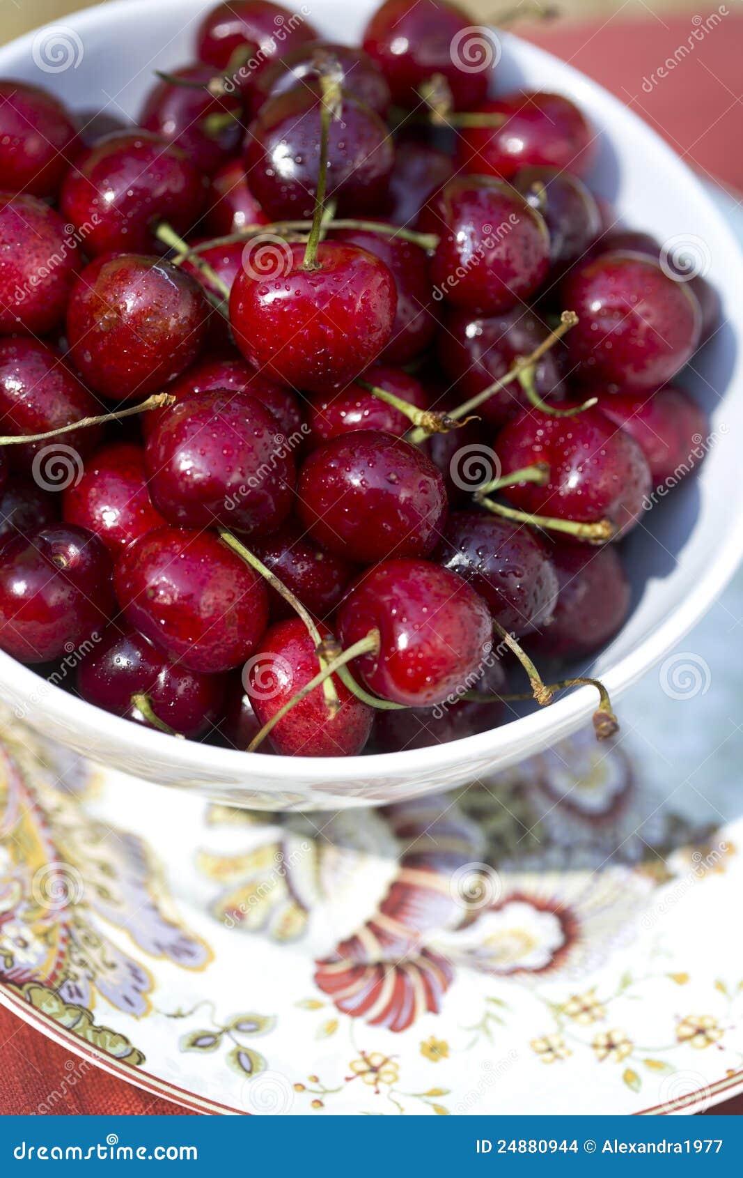 Organic Cherries stock photo. Image of organic, natural - 24880944