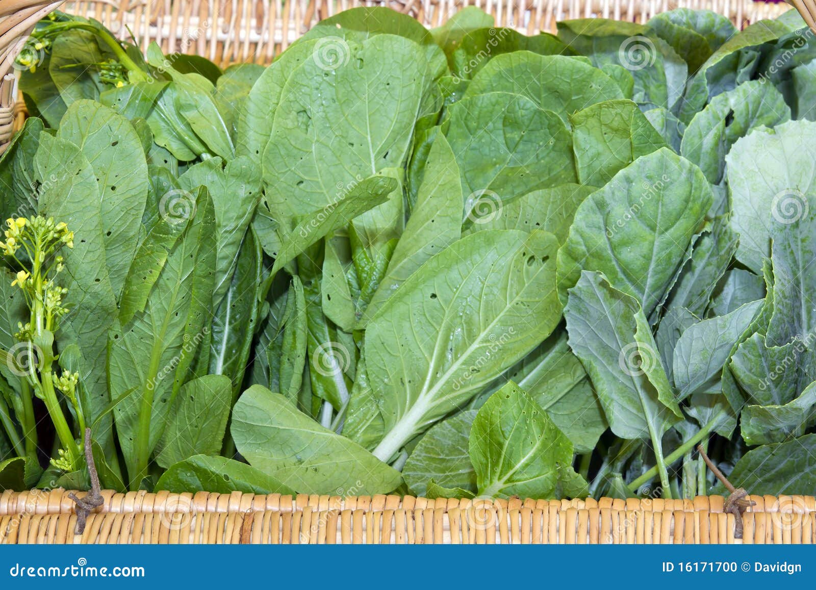 Organic Chinese Vegetable in Basket Stock Photo - Image of foods ...
