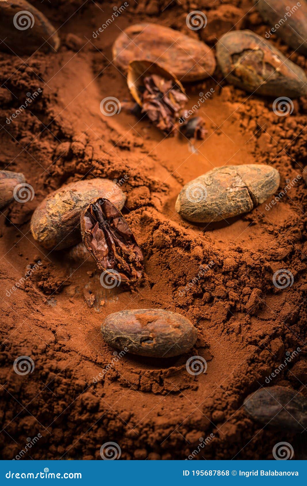 Organic Cocoa Butter, Cocoa Beans, Grated Cocoa Lump, Dark Chocolate On ...
