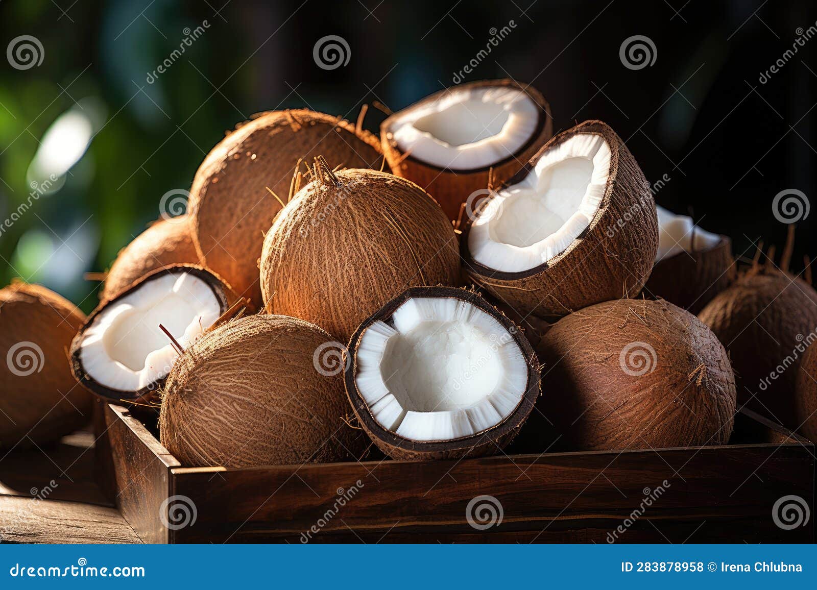 Organic Coconut Halves On White Surface - Nature-inspired Forms Stock ...