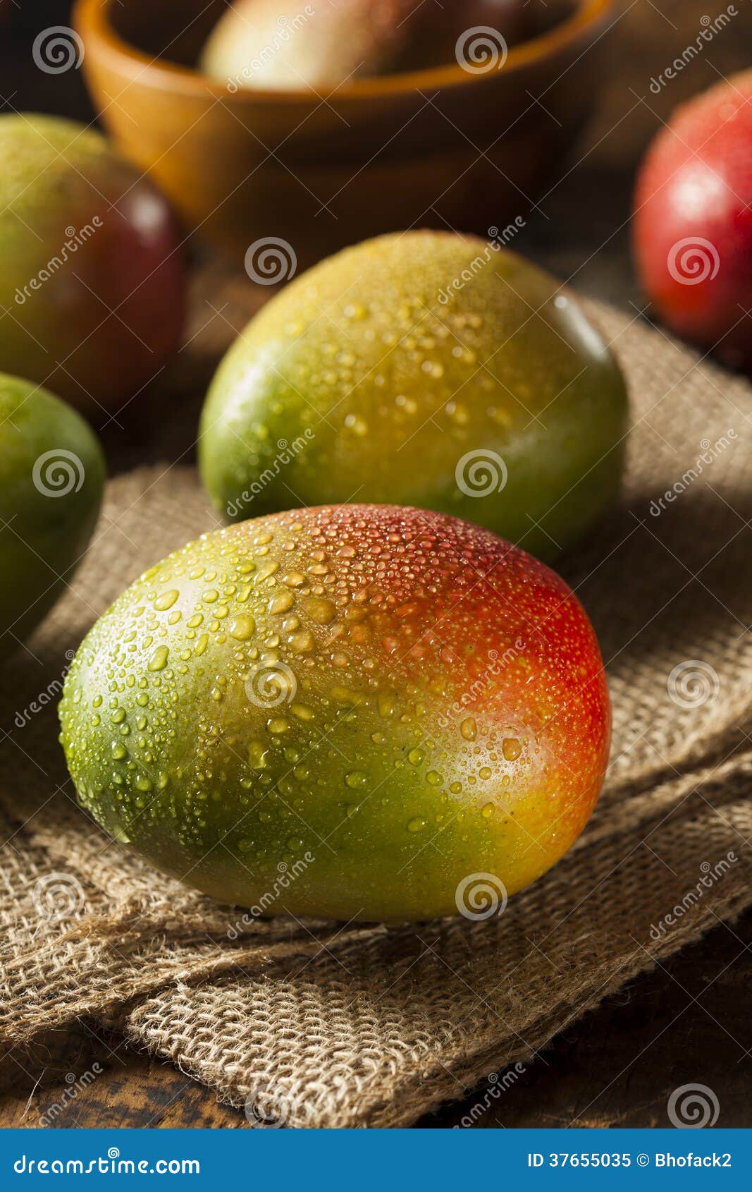 Organic Colorful Ripe Mangos Stock Image - Image of ripe, isolated ...