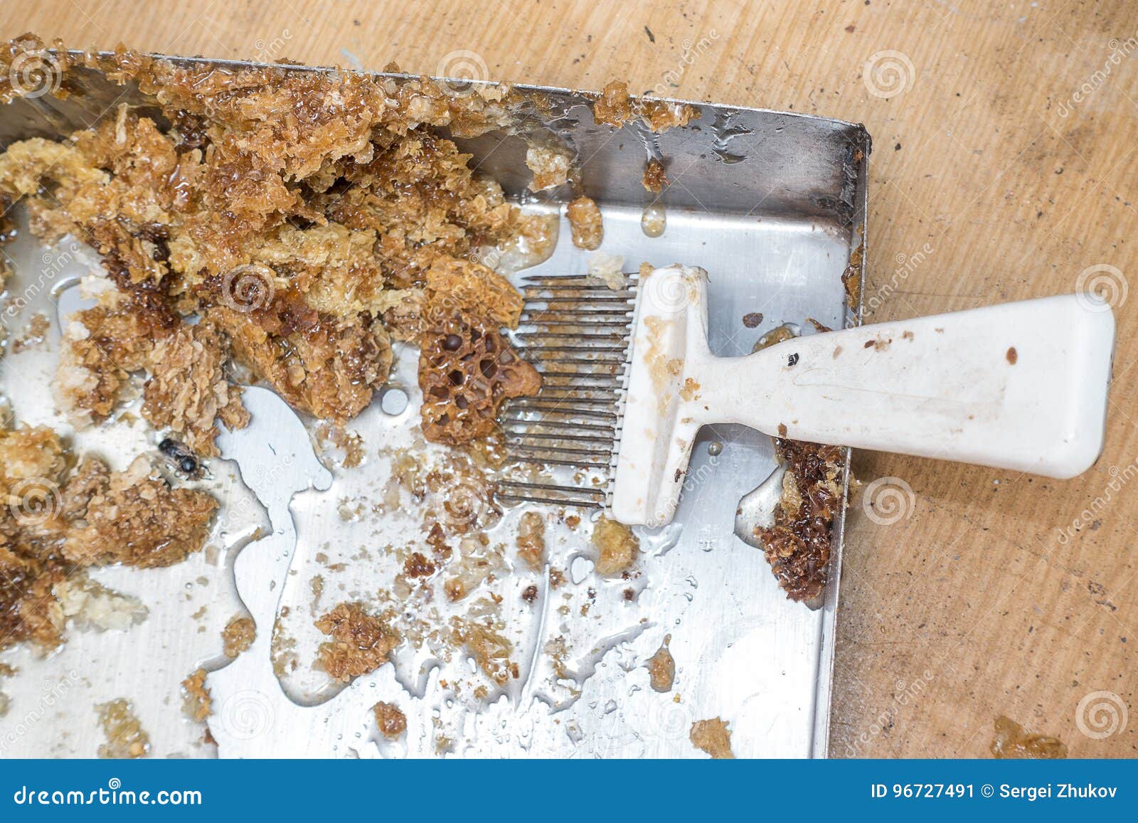 Organic comb capping stock image. Image of snack, healthy - 96727491