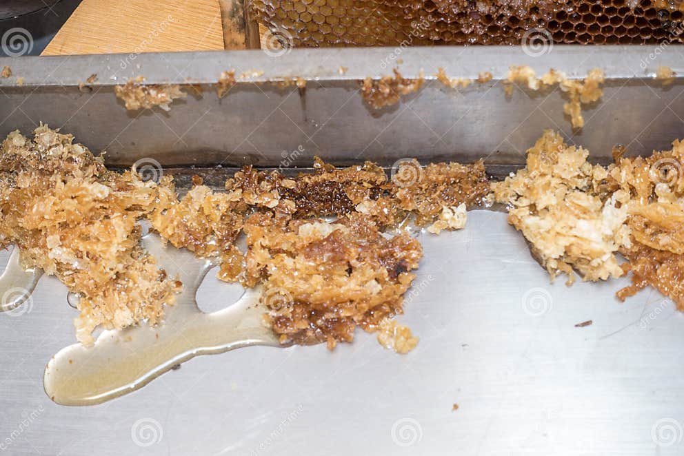 Organic comb capping stock image. Image of cell, snack - 97453267