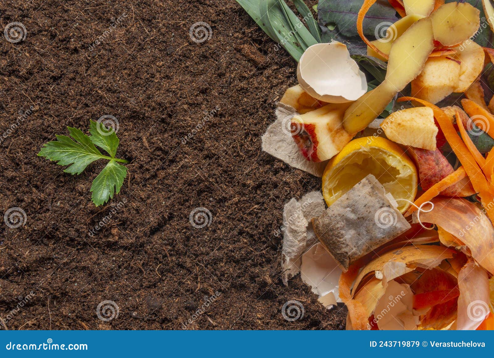The Organic Compost - Biodegradable Kitchen Waste and Soil Stock Image ...