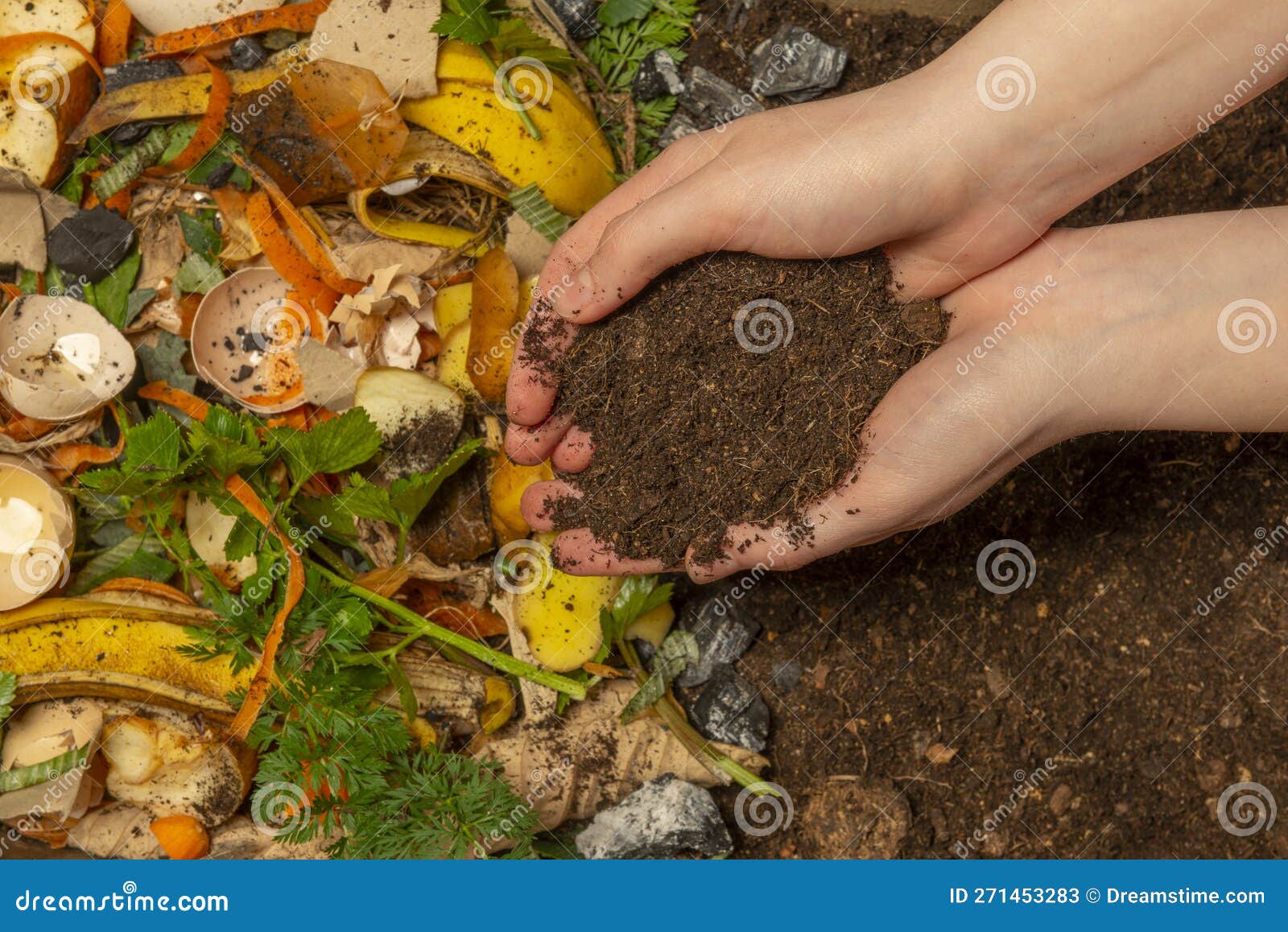Organic Compost - Biodegradable Kitchen Waste and Soil Stock Image ...