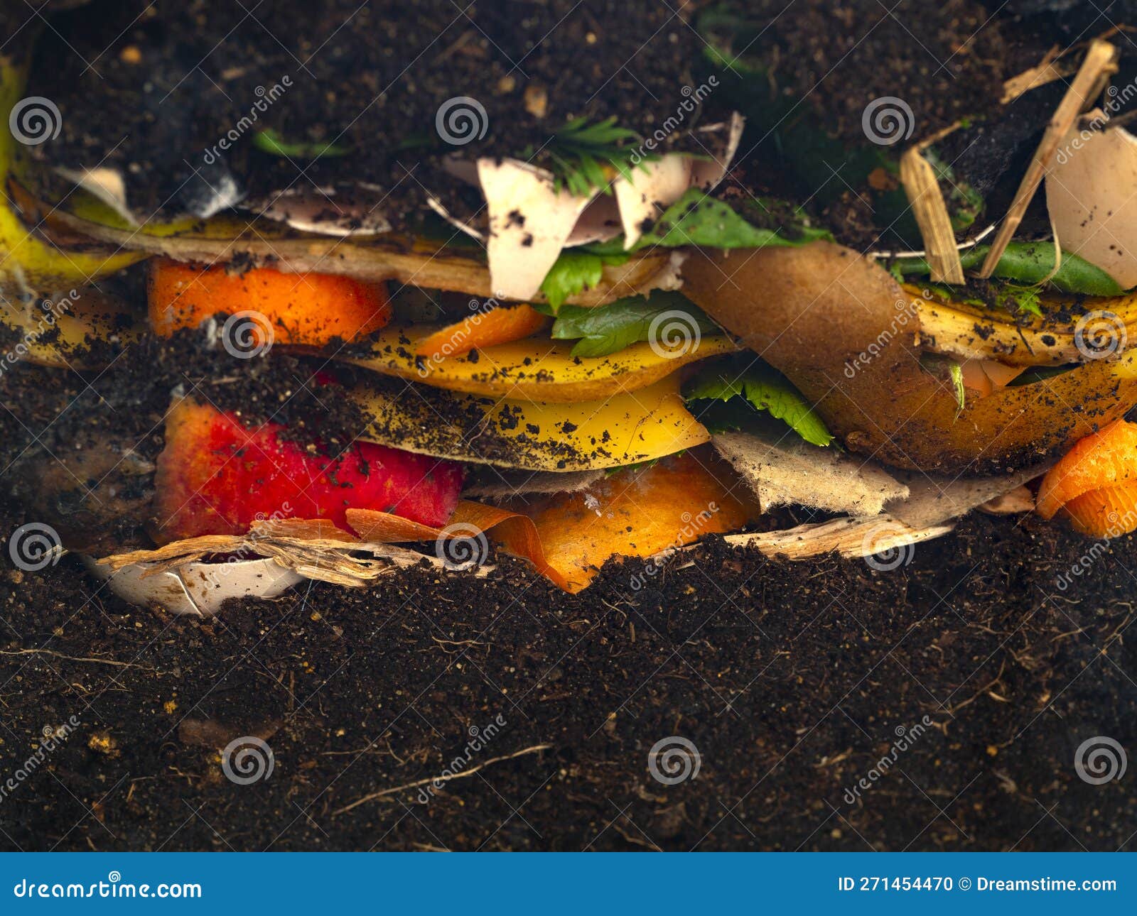 Organic Compost - Biodegradable Kitchen Waste and Soil in Layers in the ...