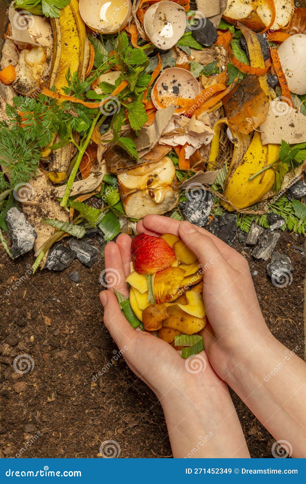 Organic Compost - Biodegradable Kitchen Waste and Soil in Layers in the ...