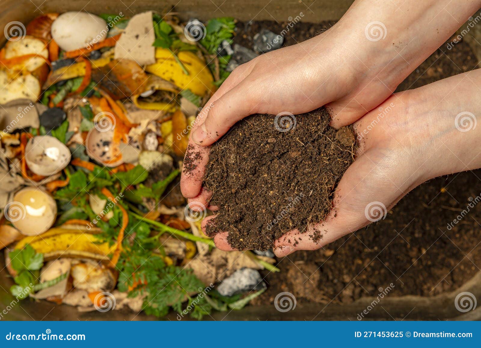 Organic Compost - Biodegradable Kitchen Waste and Soil in Layers in the ...
