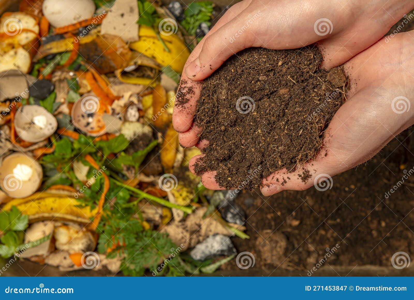 Organic Compost - Biodegradable Kitchen Waste and Soil in Layers in the ...