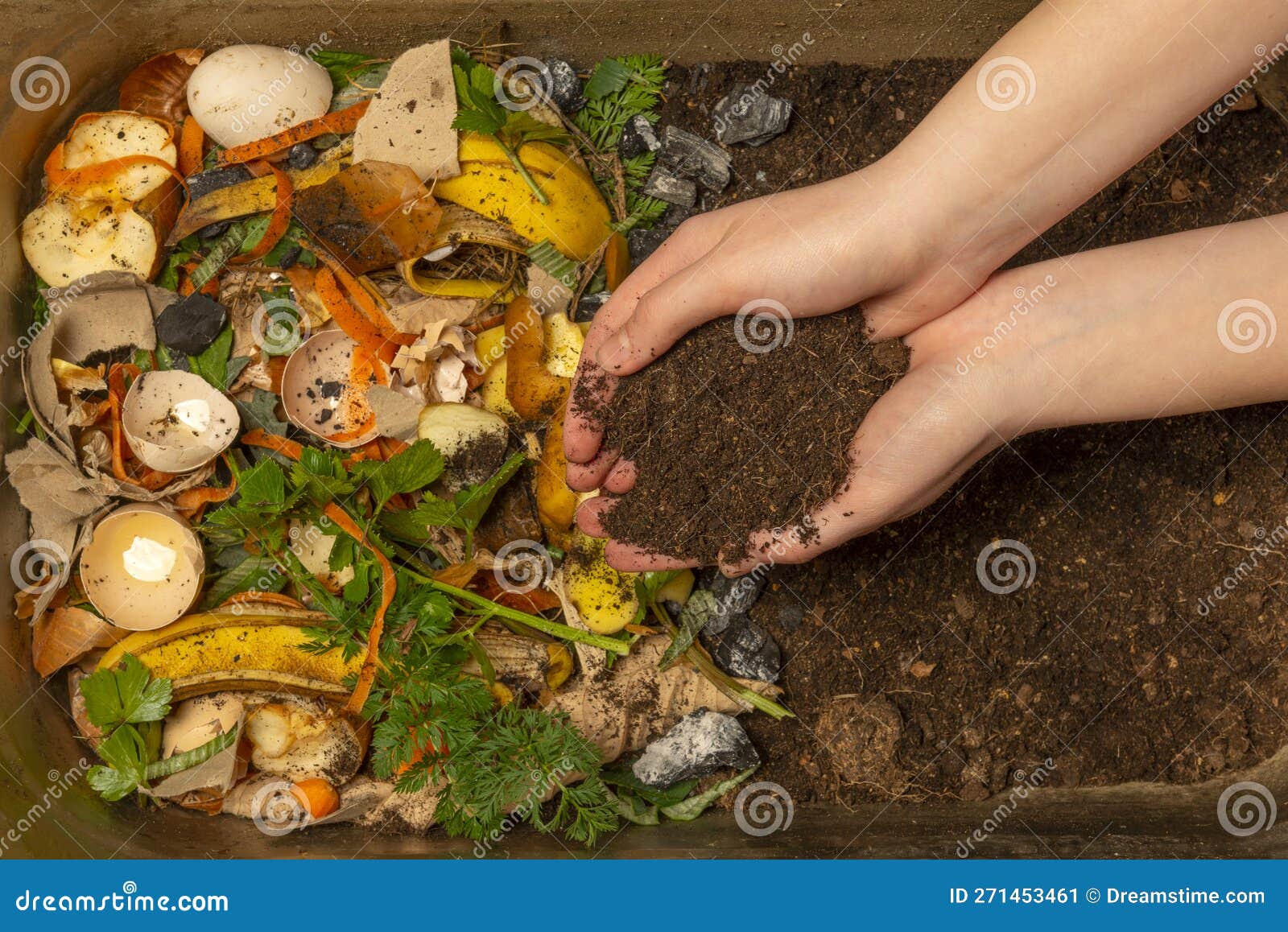 Organic Compost - Biodegradable Kitchen Waste and Soil in Layers in the ...