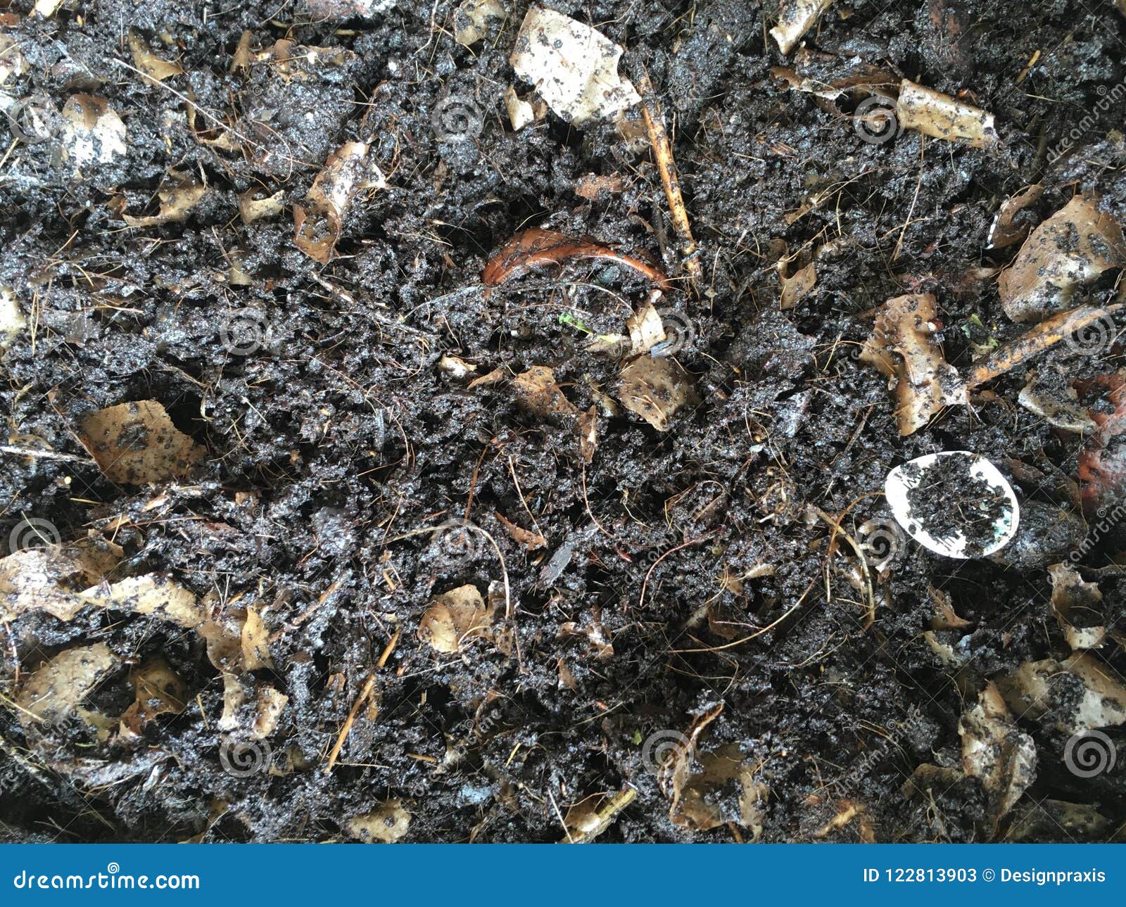 Organic Compost Manure in Progress Stock Image - Image of agriculture ...