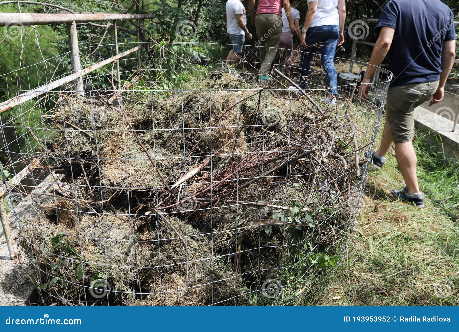 Organic Composter. People are Making Bio Composter Bin in a Yard Stock ...