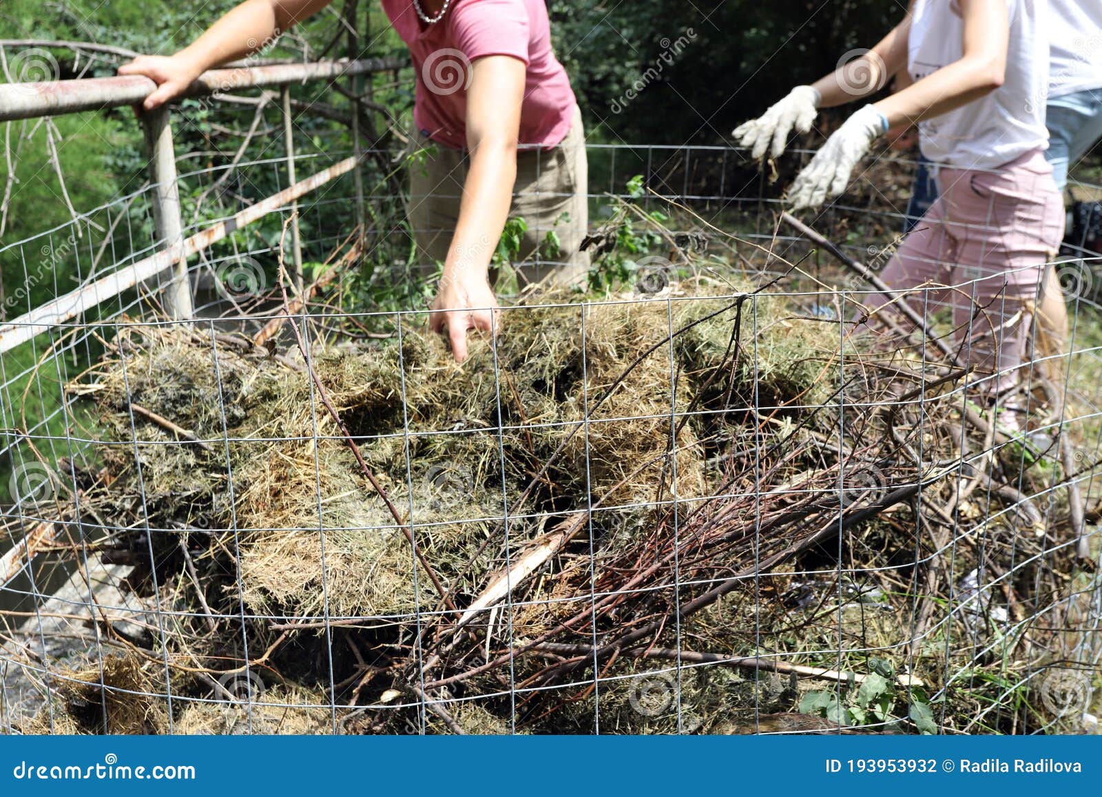 Organic Composter. People are Making Bio Composter Bin in a Yard Stock ...