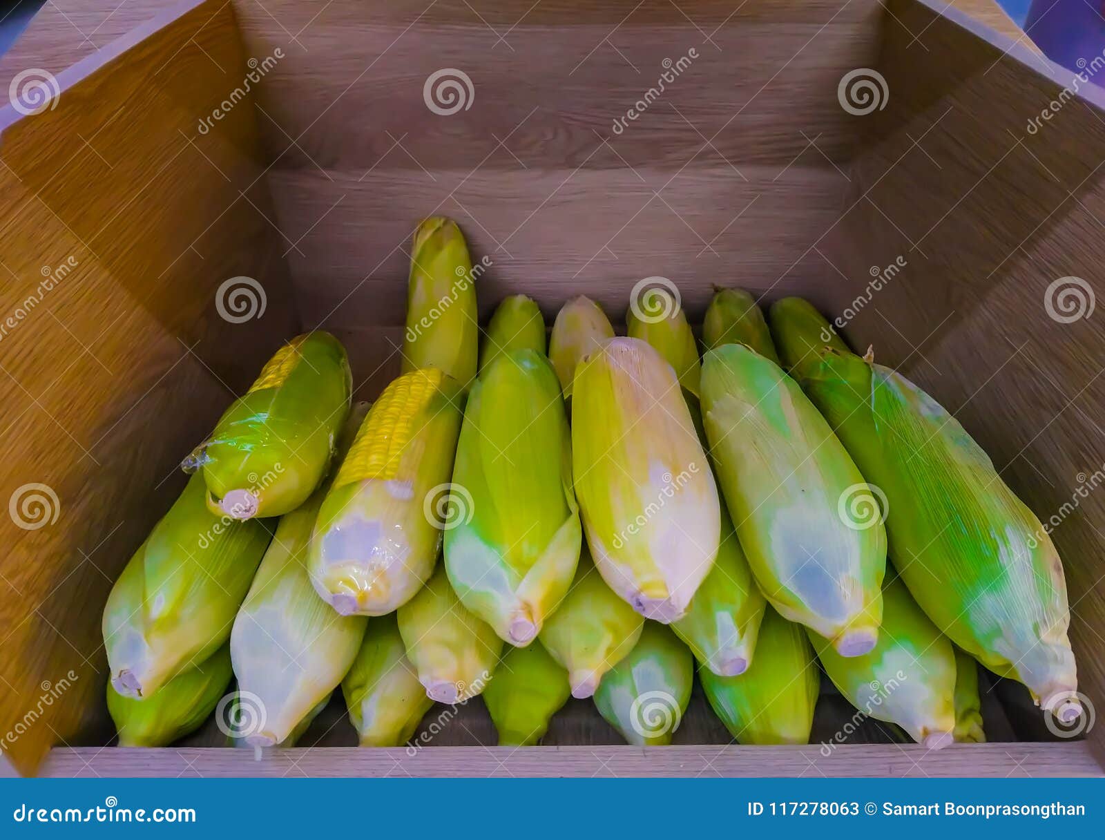 Organic fresh corn stock image. Image of golden, natural - 117278063