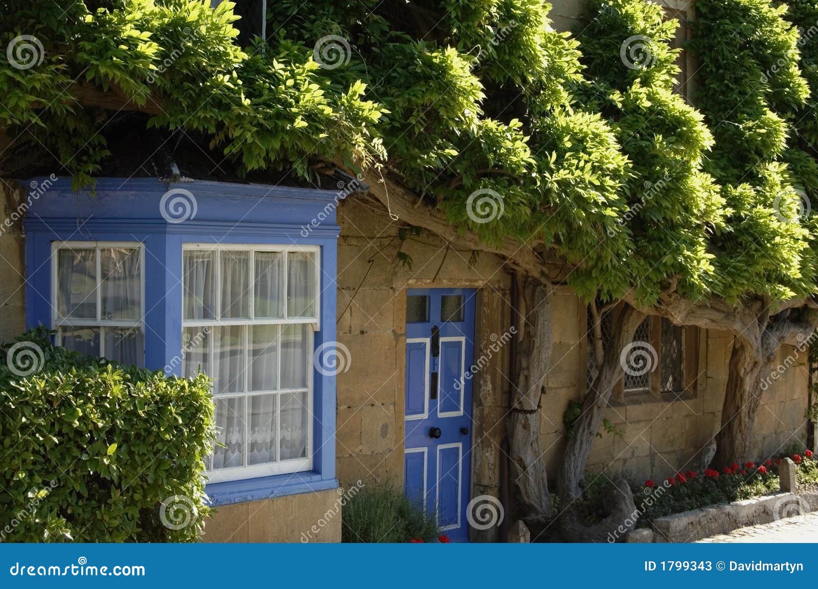 Organic cottage stock image. Image of property, properties - 1799343