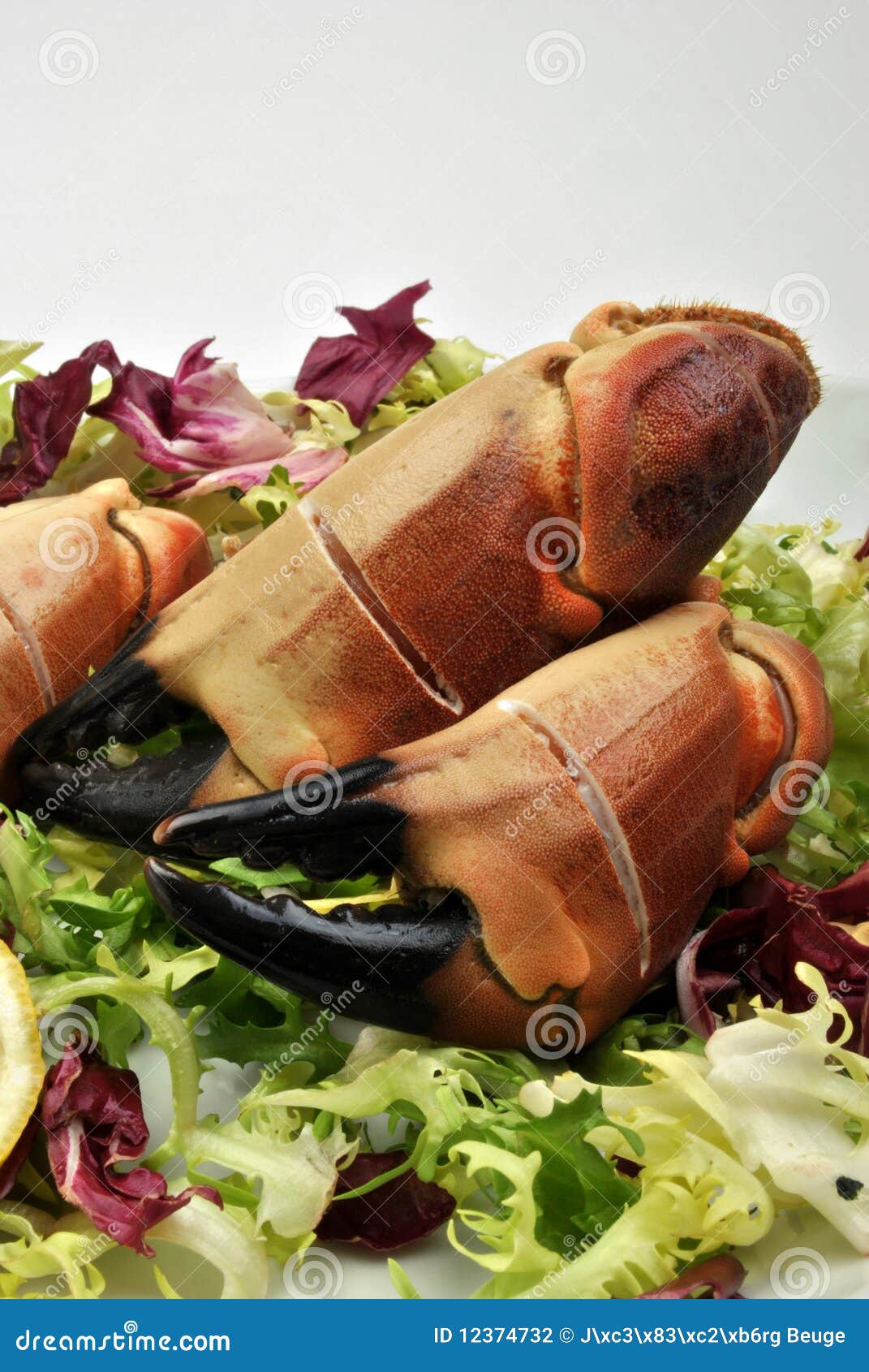 Organic Crab Claws on Fresh Salad Stock Photo - Image of fresh ...
