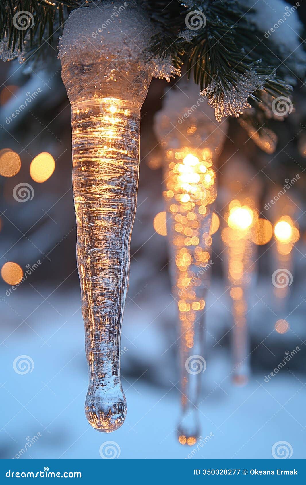 Organic Crystalline Patterns Resembling Icicle Formations Showcase ...