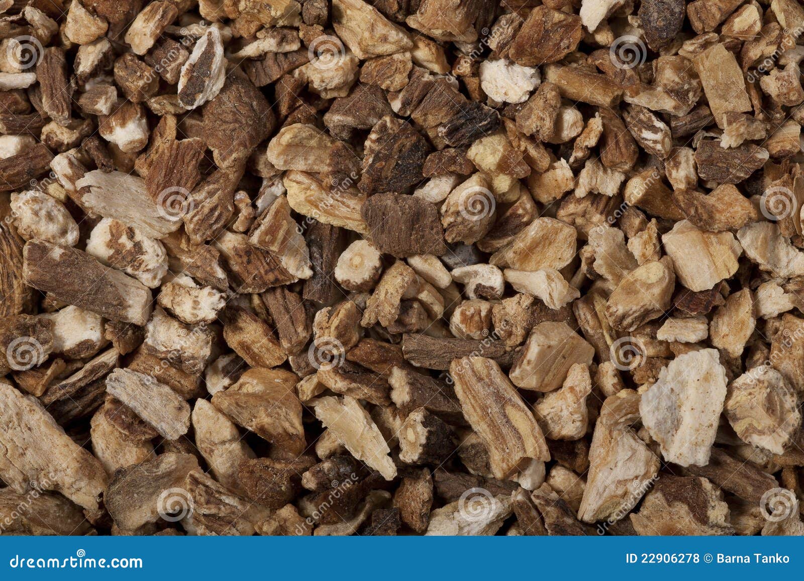 Organic dandelion root tea stock photo. Image of health - 22906278