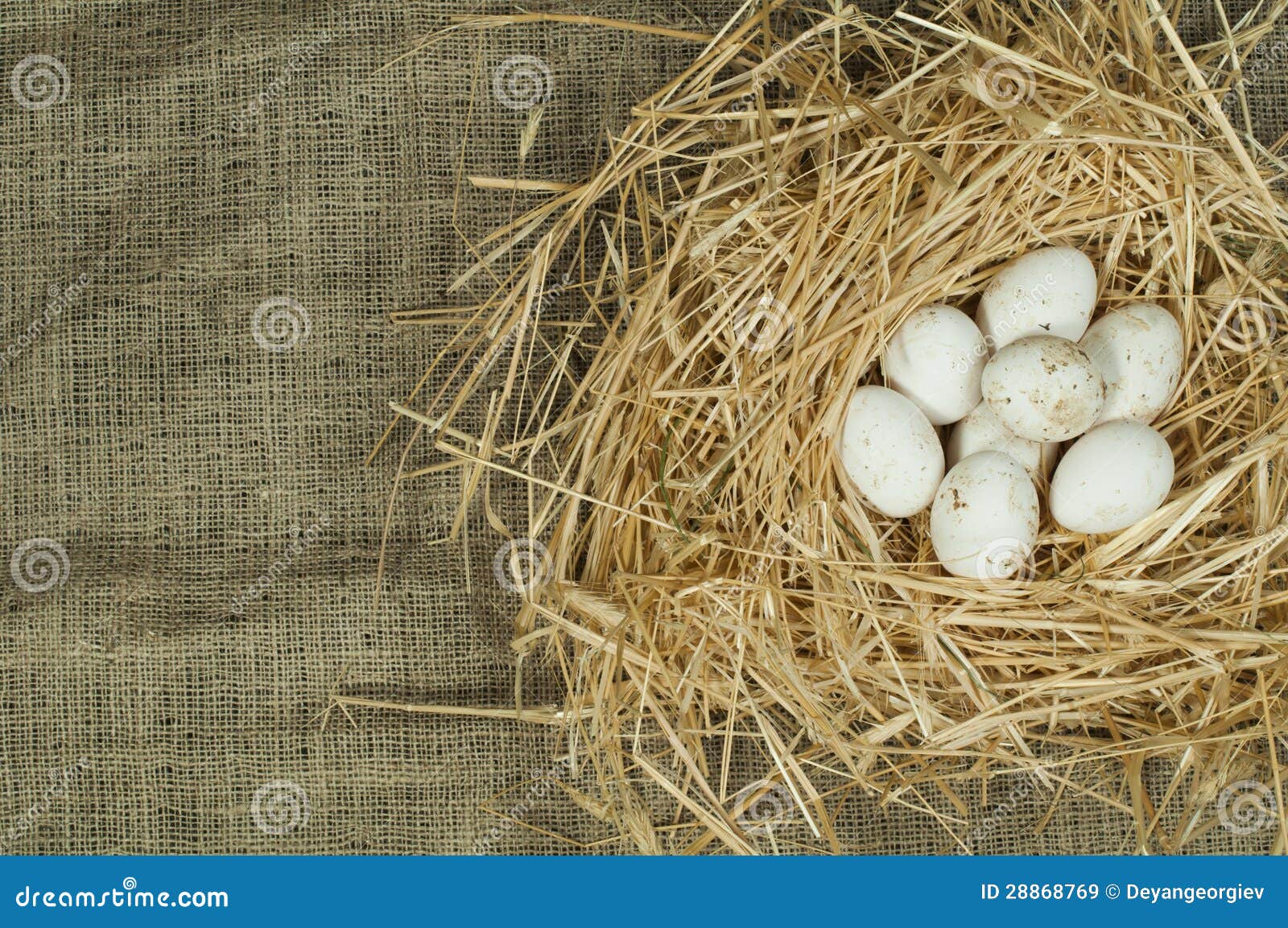 Organic Domestic White Eggs in Straw Nest Stock Image - Image of ...
