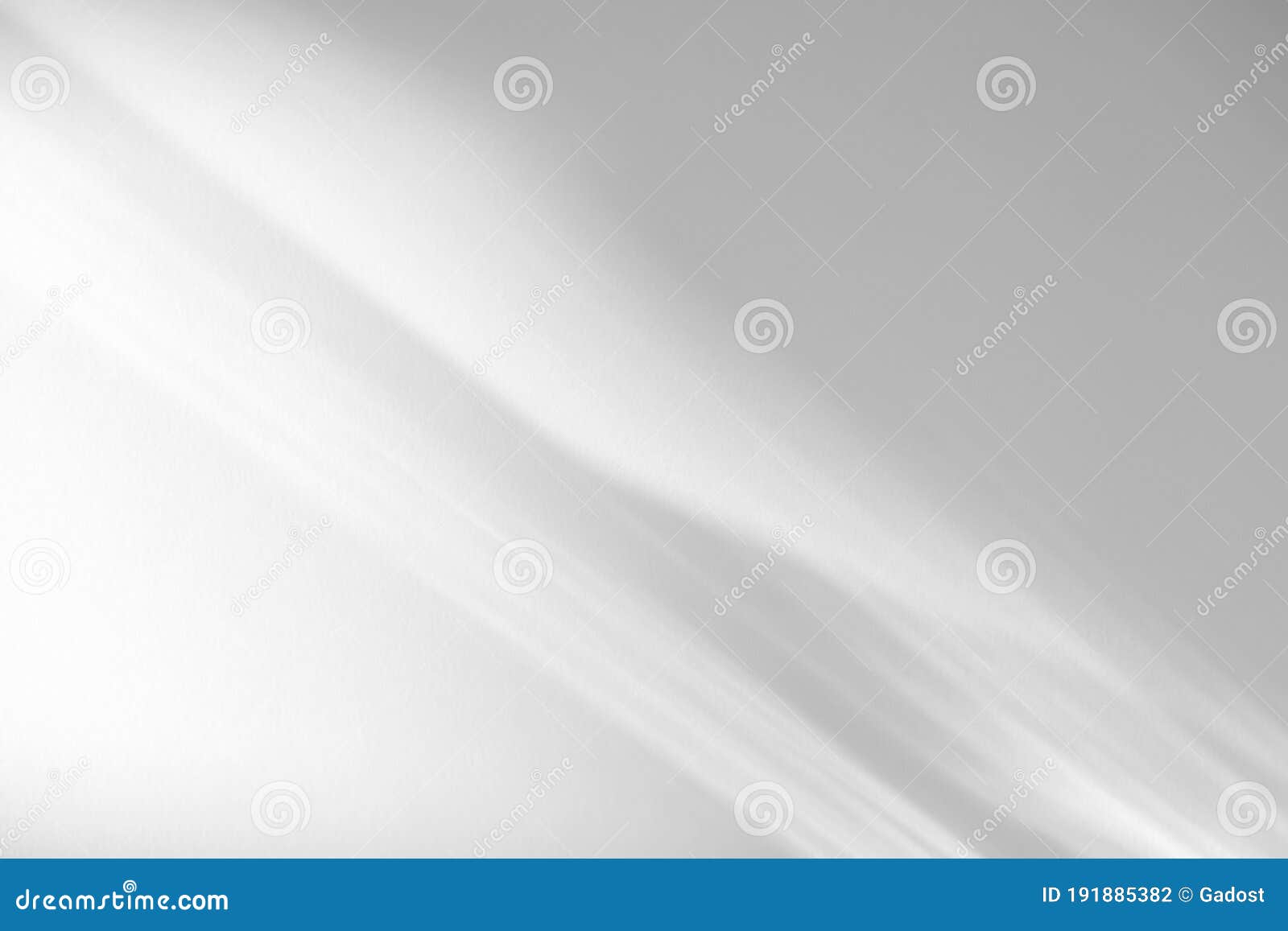 Organic Drop Shadow on a White Wall Stock Photo - Image of roaring ...