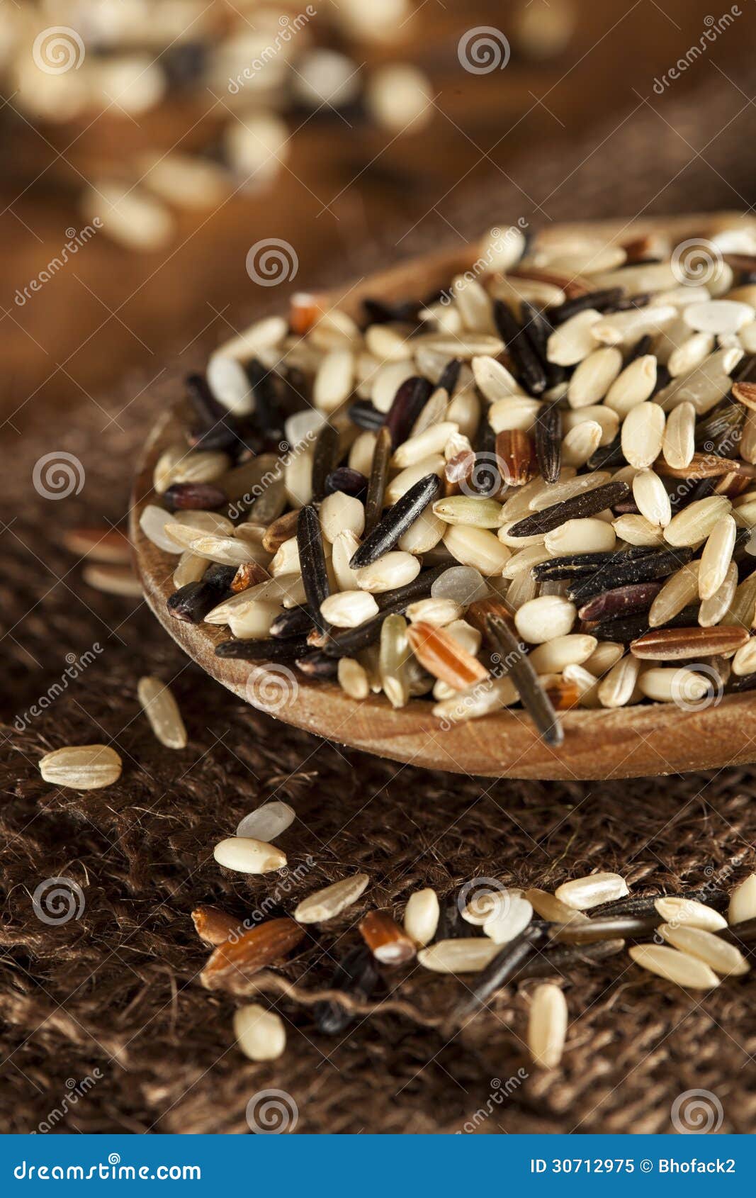 Organic Dry Multi Grain Rice Stock Image - Image of brown, multi: 30712975