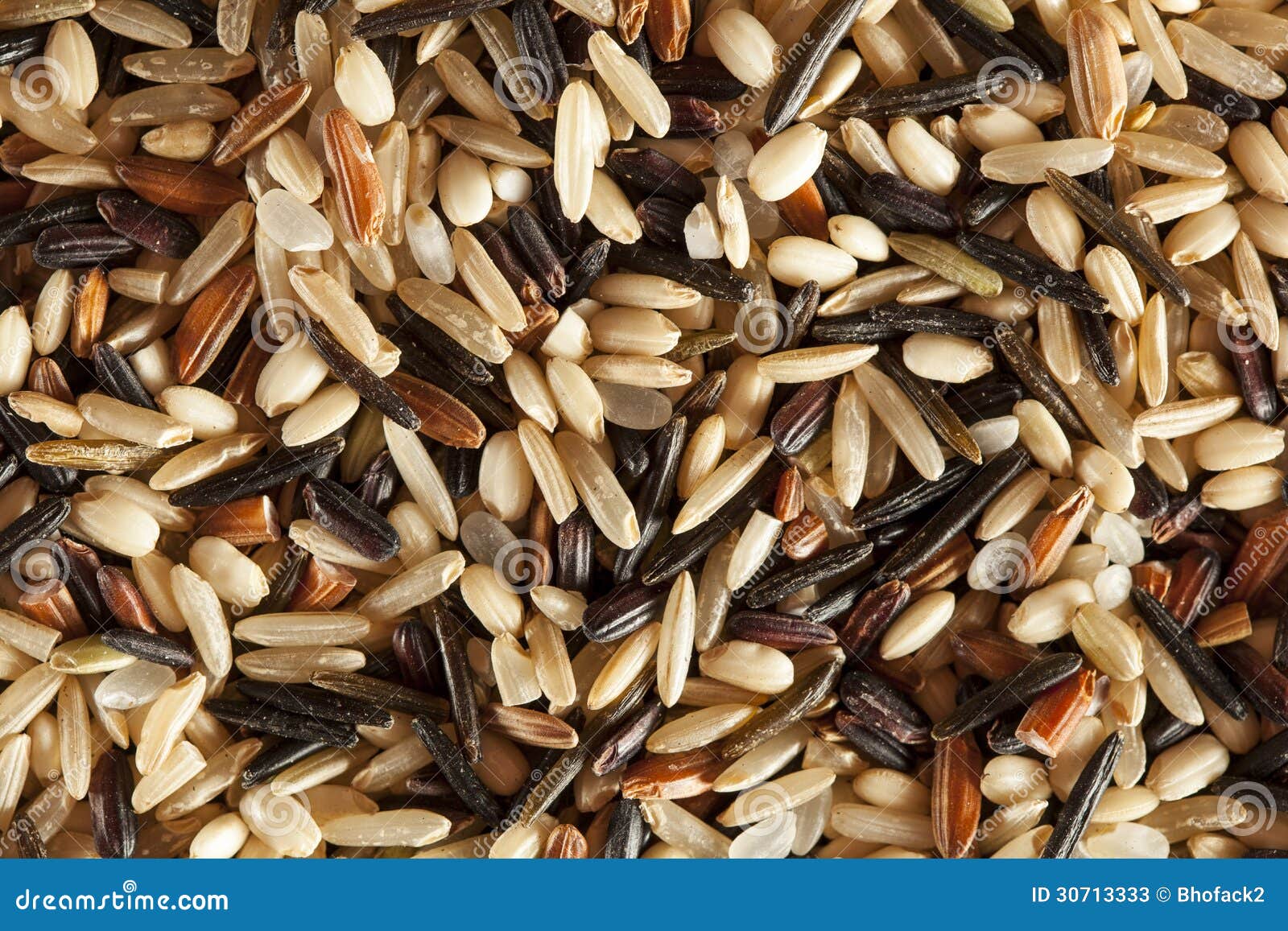 Organic Dry Multi Grain Rice Stock Image - Image of grain, vegetarian ...