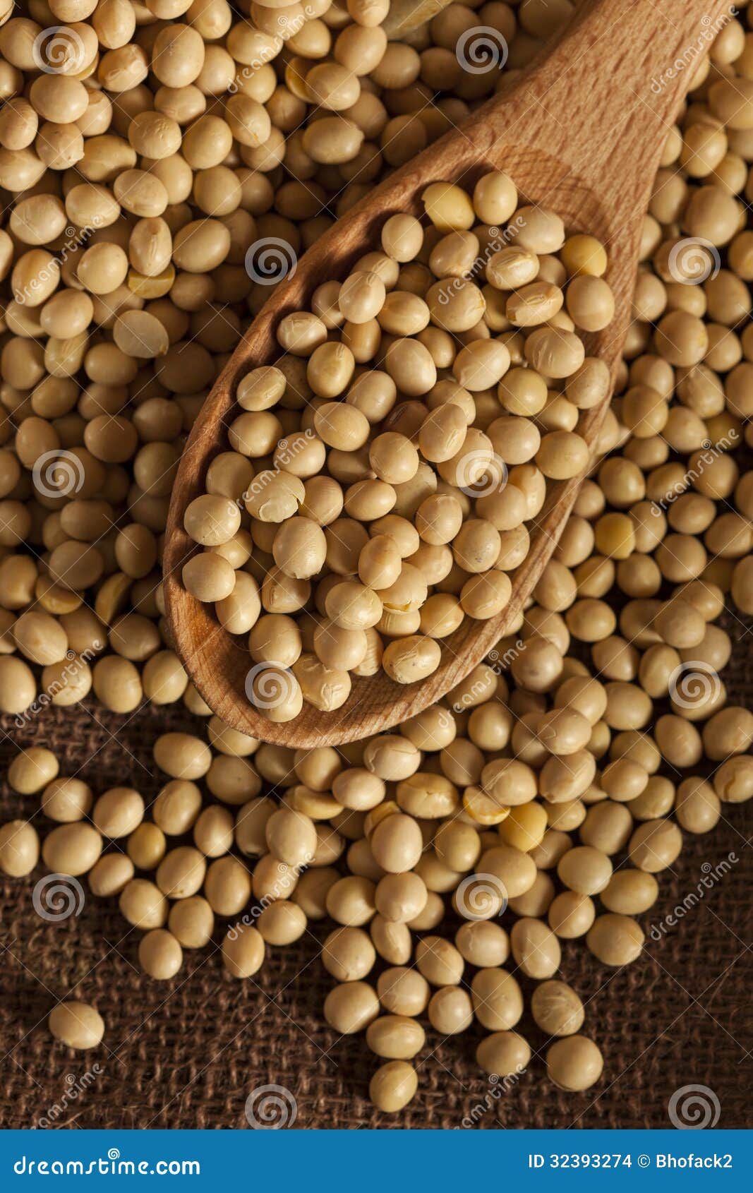 Organic Dry Soy Beans stock photo. Image of pile, ingredient - 32393274
