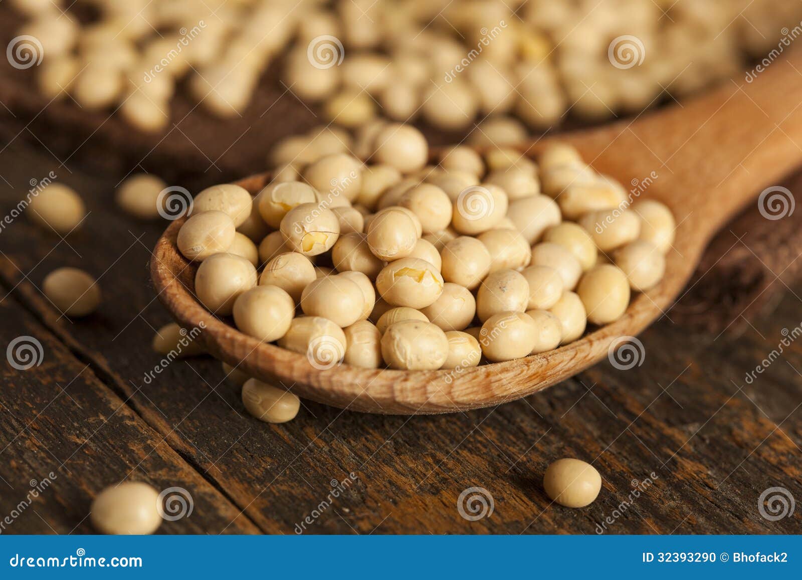 Organic Dry Soy Beans stock photo. Image of growth, ripe - 32393290