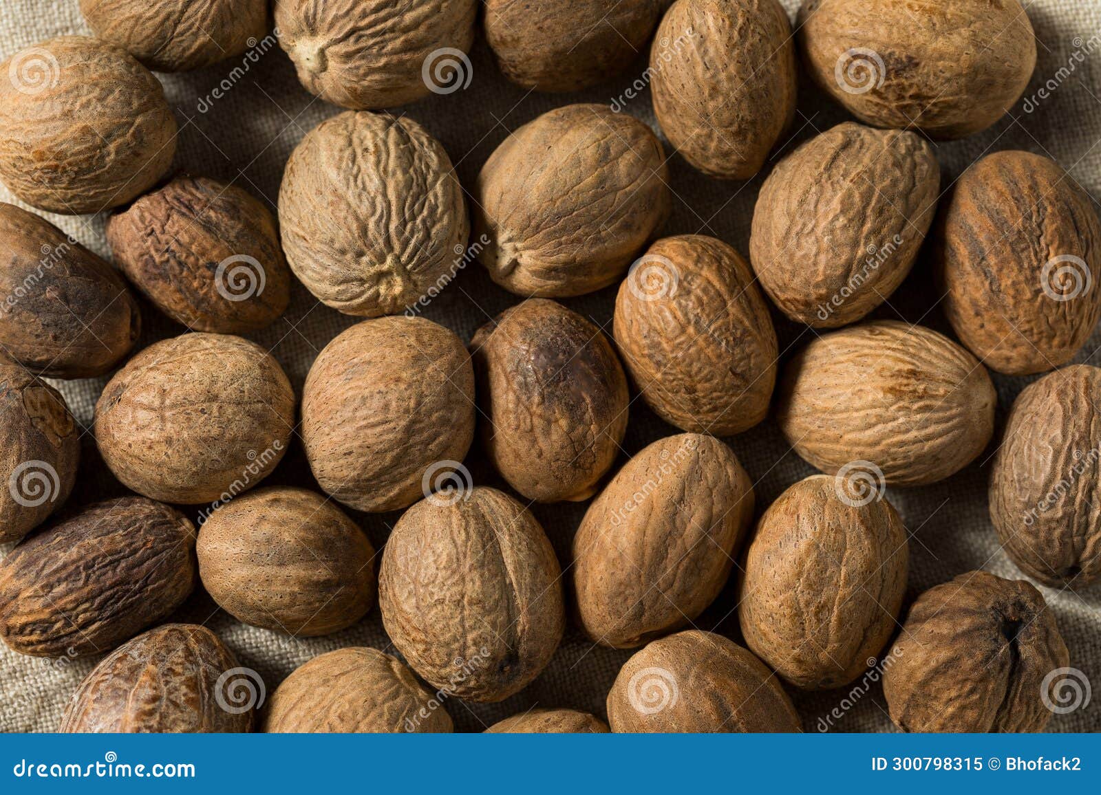 Organic Dry Whole Nutmeg stock image. Image of organic - 300798315