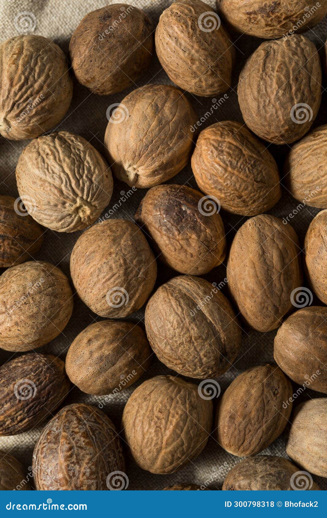 Organic Dry Whole Nutmeg stock photo. Image of spices - 300798318