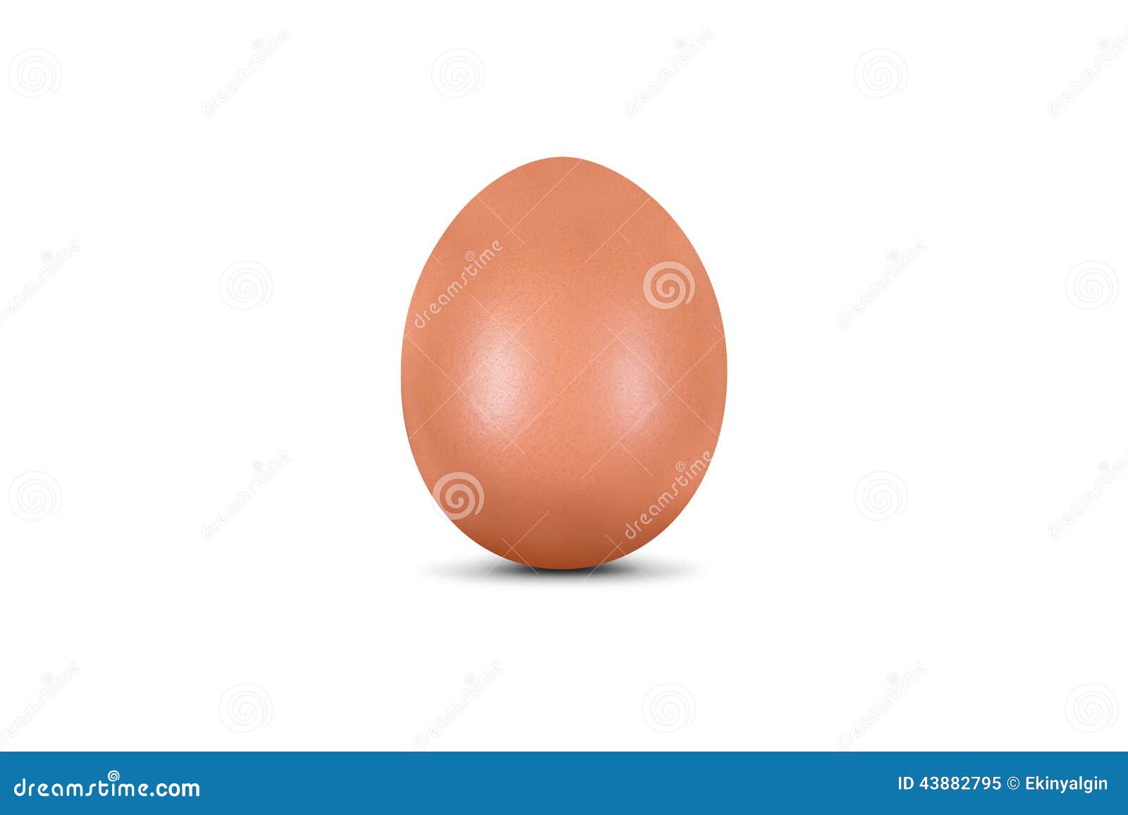 Organic Egg stock image. Image of meal, close, shell - 43882795