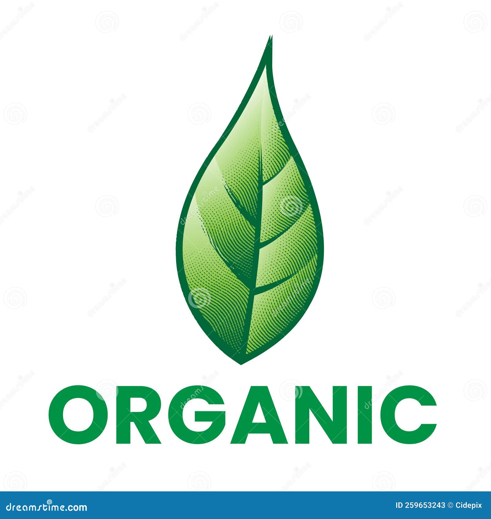 Organic Engraved Icon with Green Leaf Stock Vector - Illustration of ...