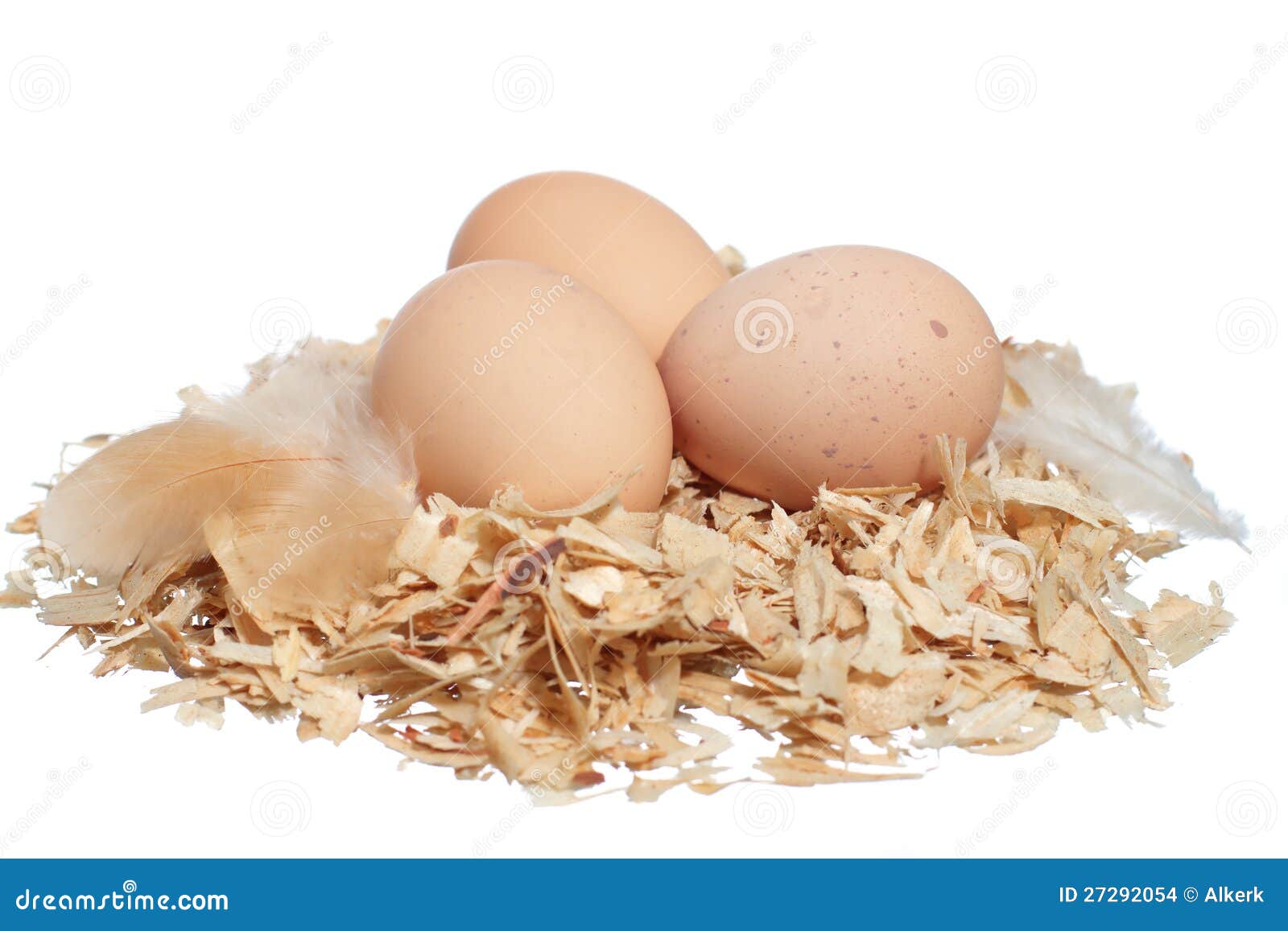 Organic farm fresh eggs stock photo. Image of eggs, fresh - 27292054