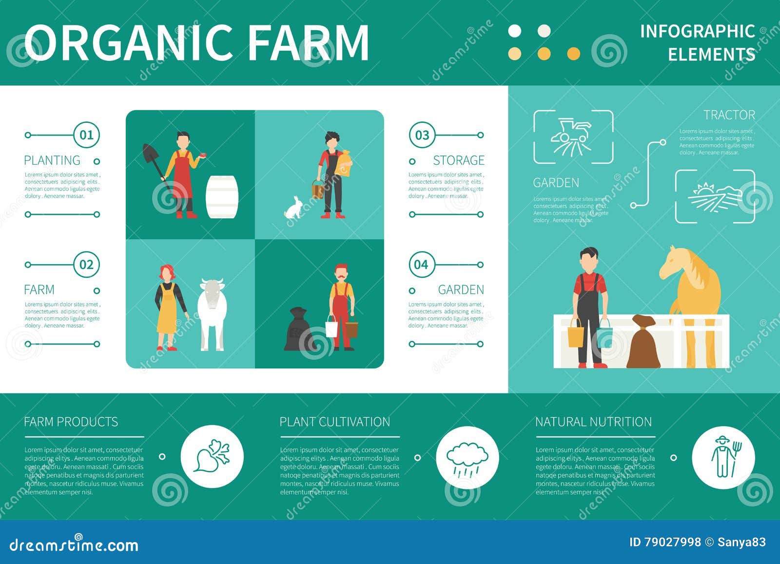 Organic Farm Infographic Flat Vector Illustration. Presentation Concept ...
