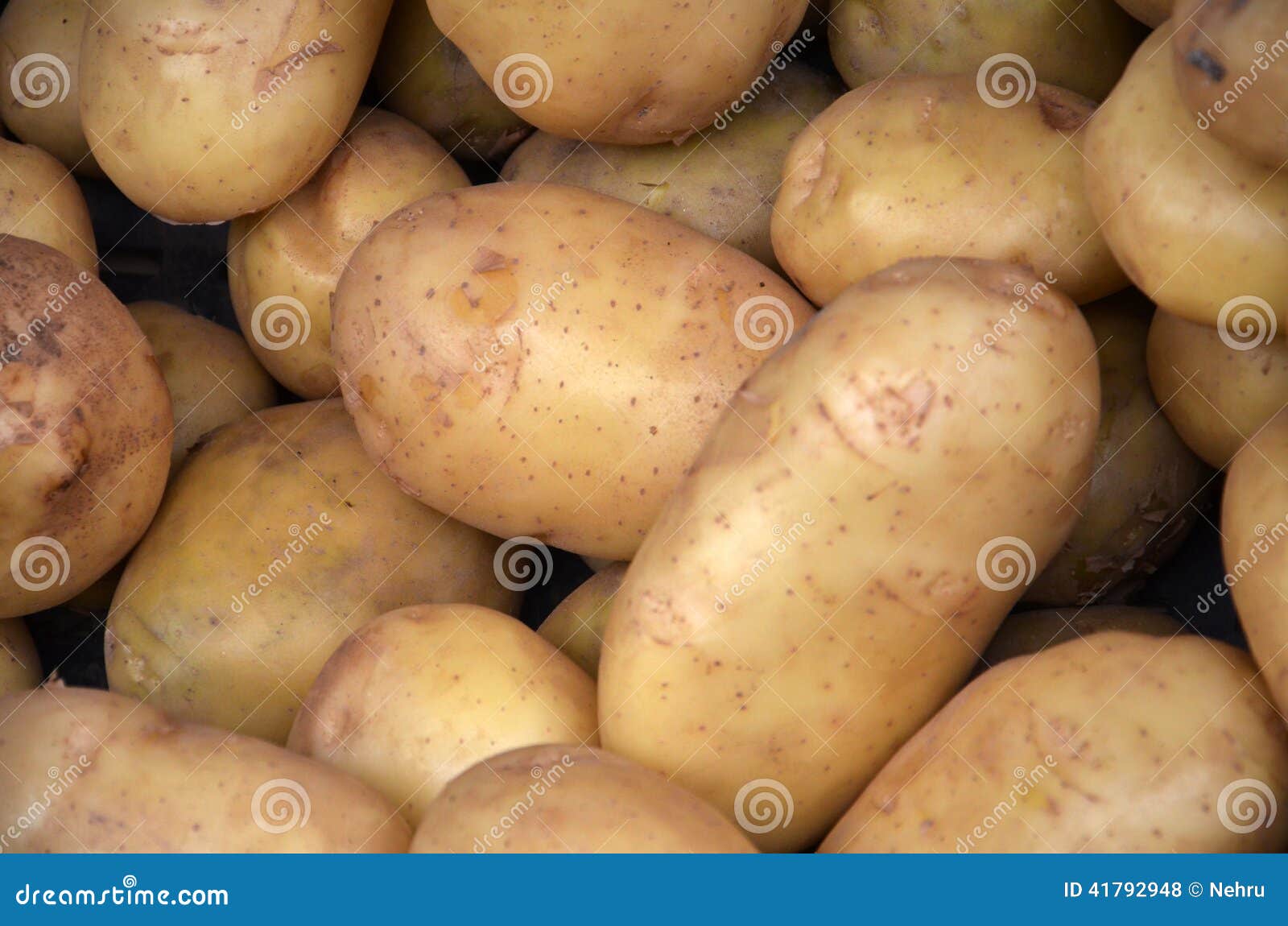 Organic farm potatoes stock photo. Image of diet, grouped - 41792948