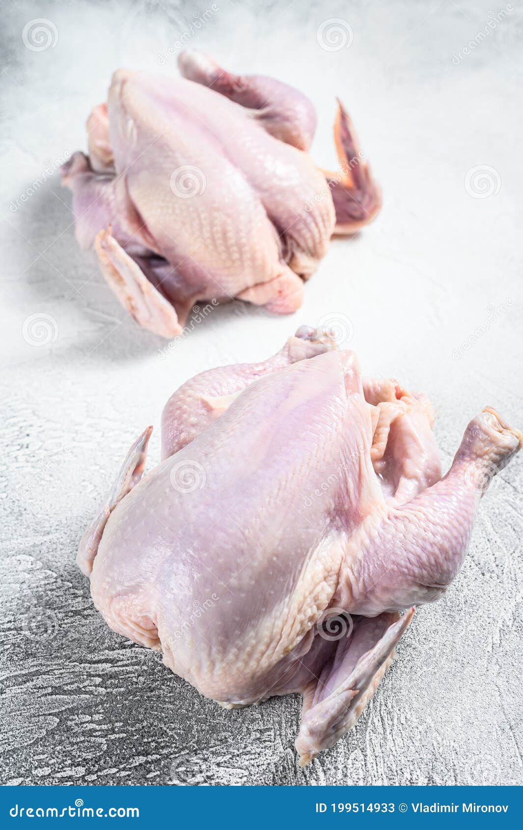 Organic Farm Raw Whole Chicken. White Background Stock Image - Image of ...