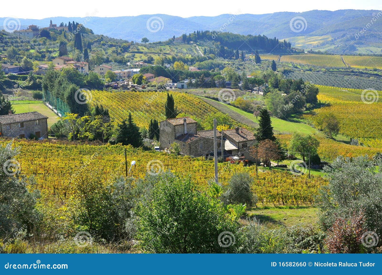 Organic Farm in Tuscany , Italy Stock Photo - Image of farmhouse, farm ...