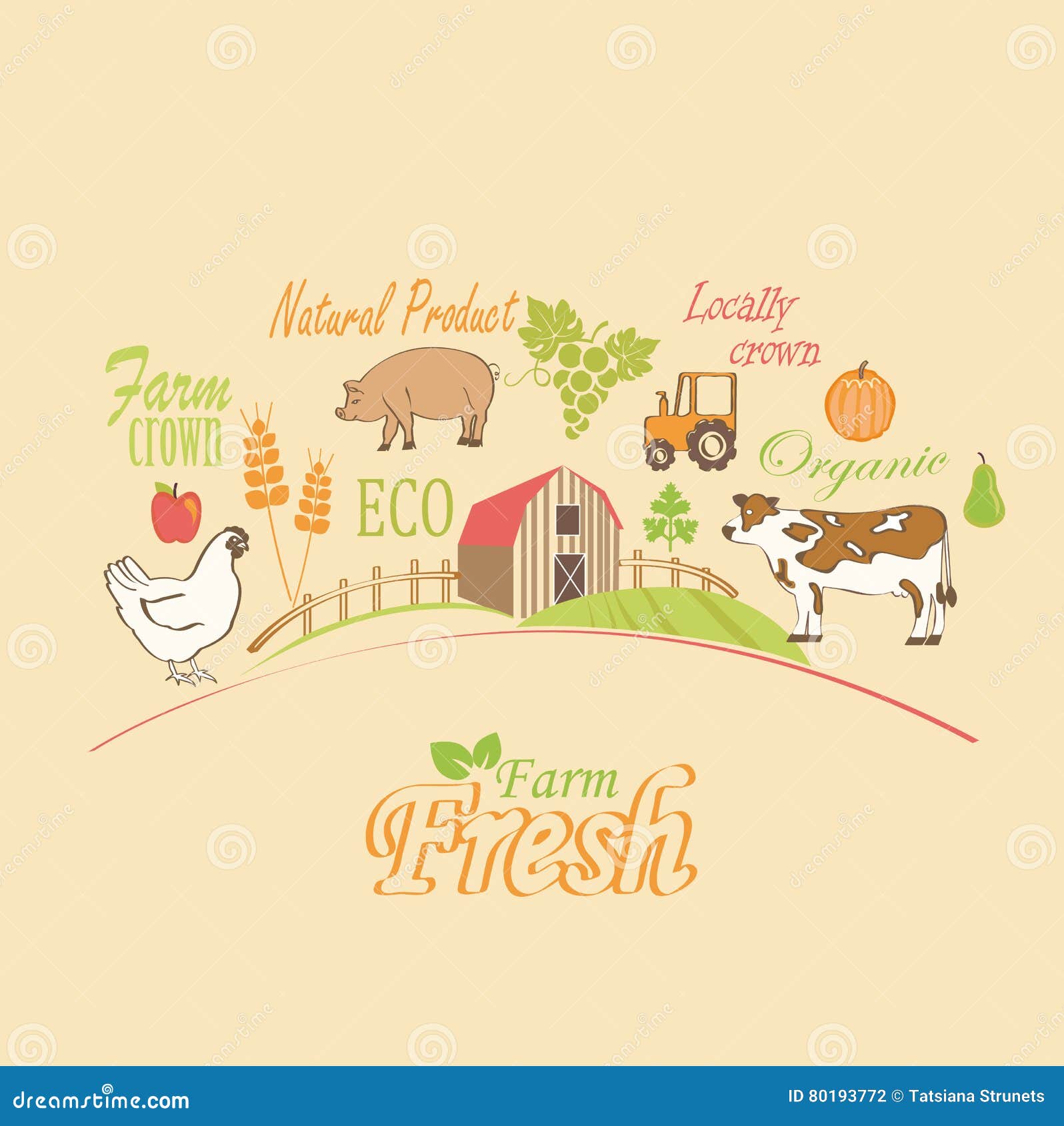 Organic and Farm, Vector Concept. Stock Vector - Illustration of emblem ...