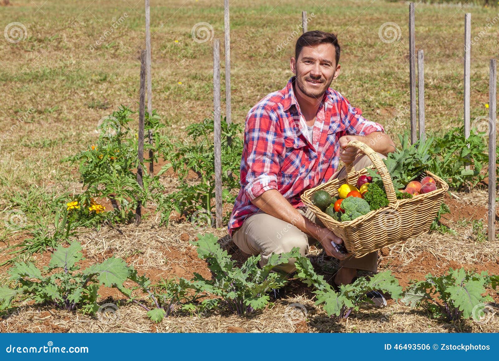 Organic Farmer stock photo. Image of agriculture, nature - 46493506