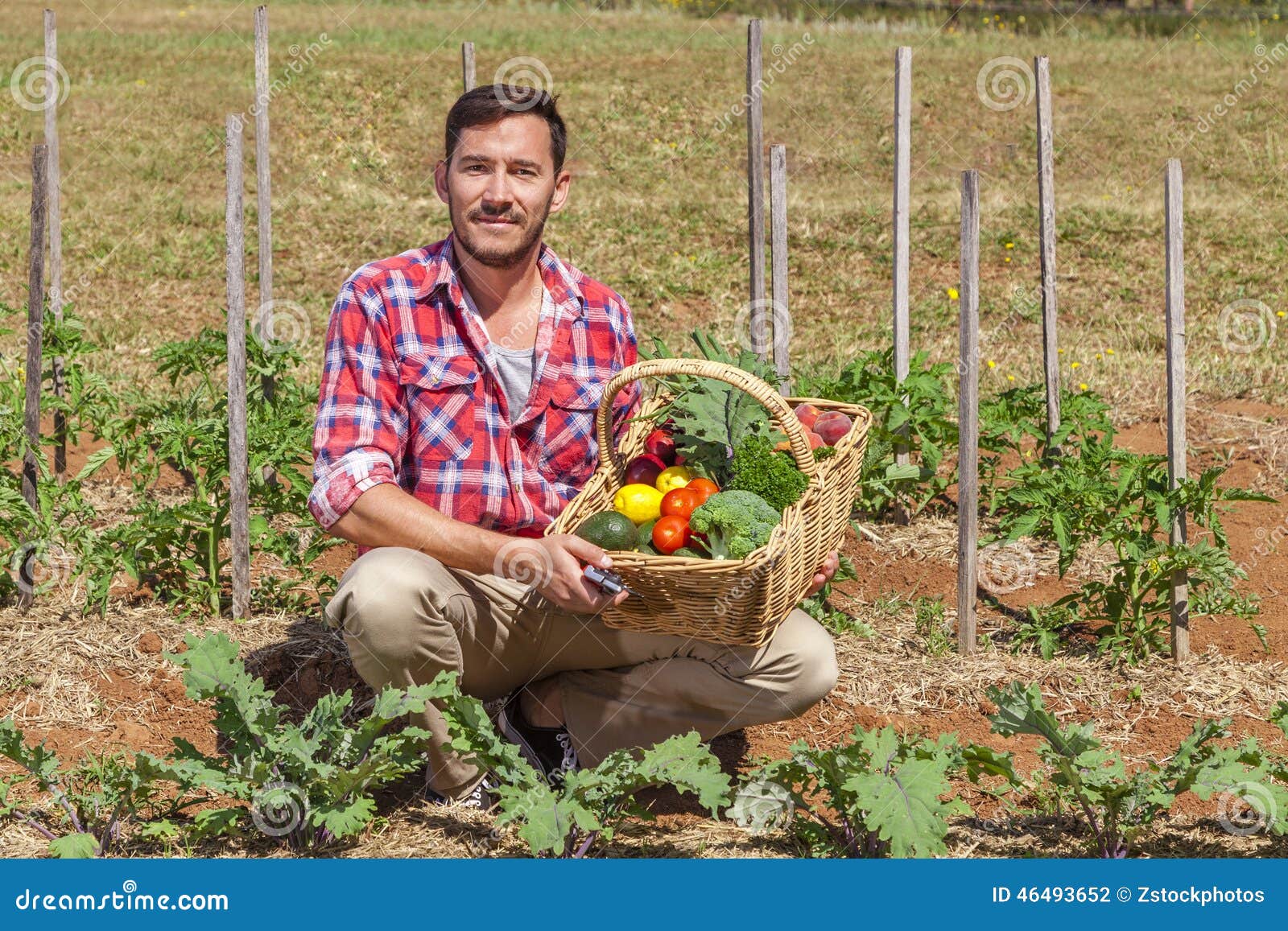 Organic Farmer stock photo. Image of happy, food, garden - 46493652