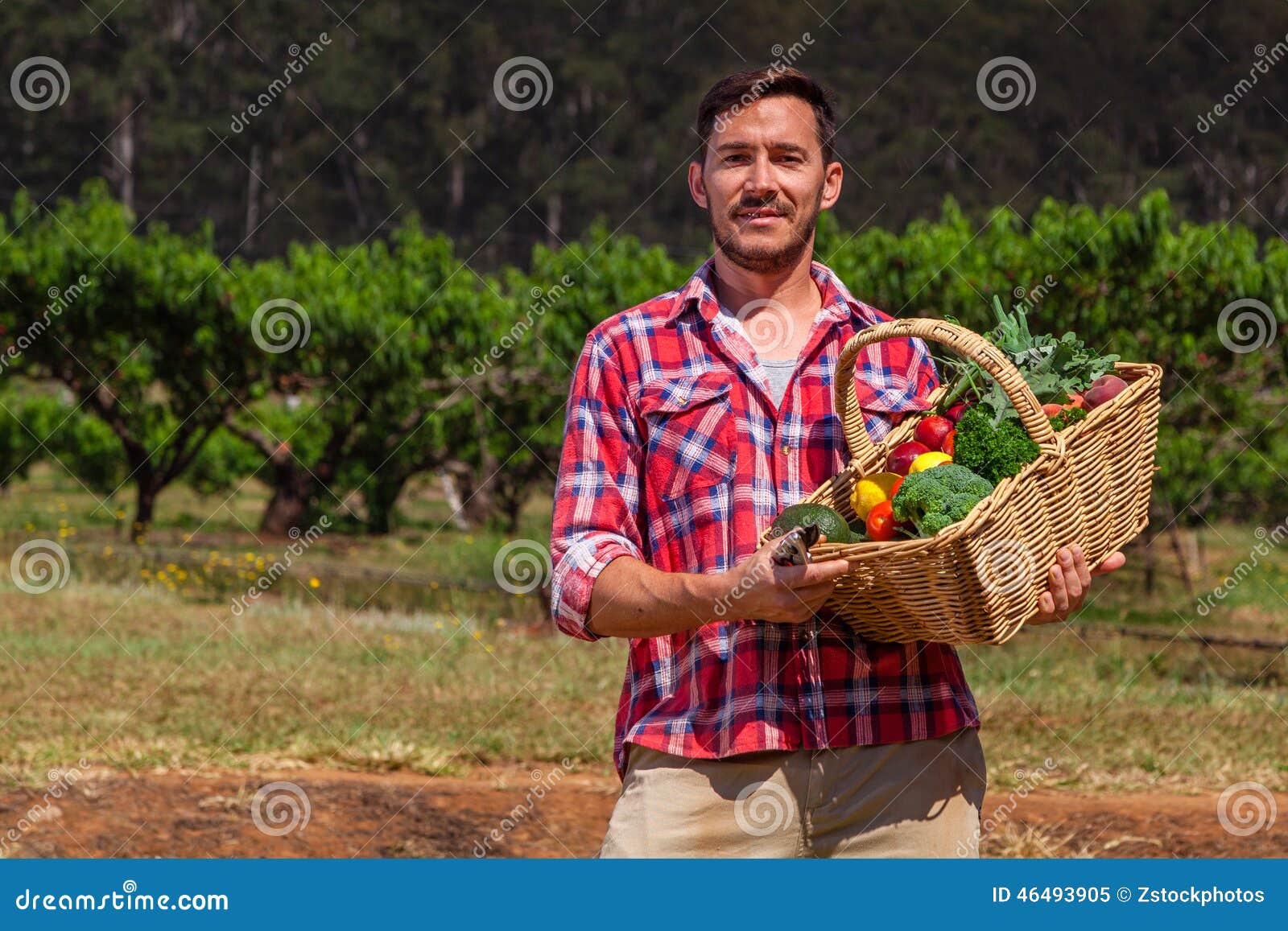 Organic Farmer stock image. Image of agriculture, kale - 46493905