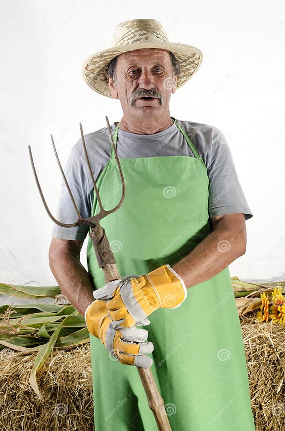 Organic Farmer with a Pitchfork Stock Image - Image of straw, worker ...