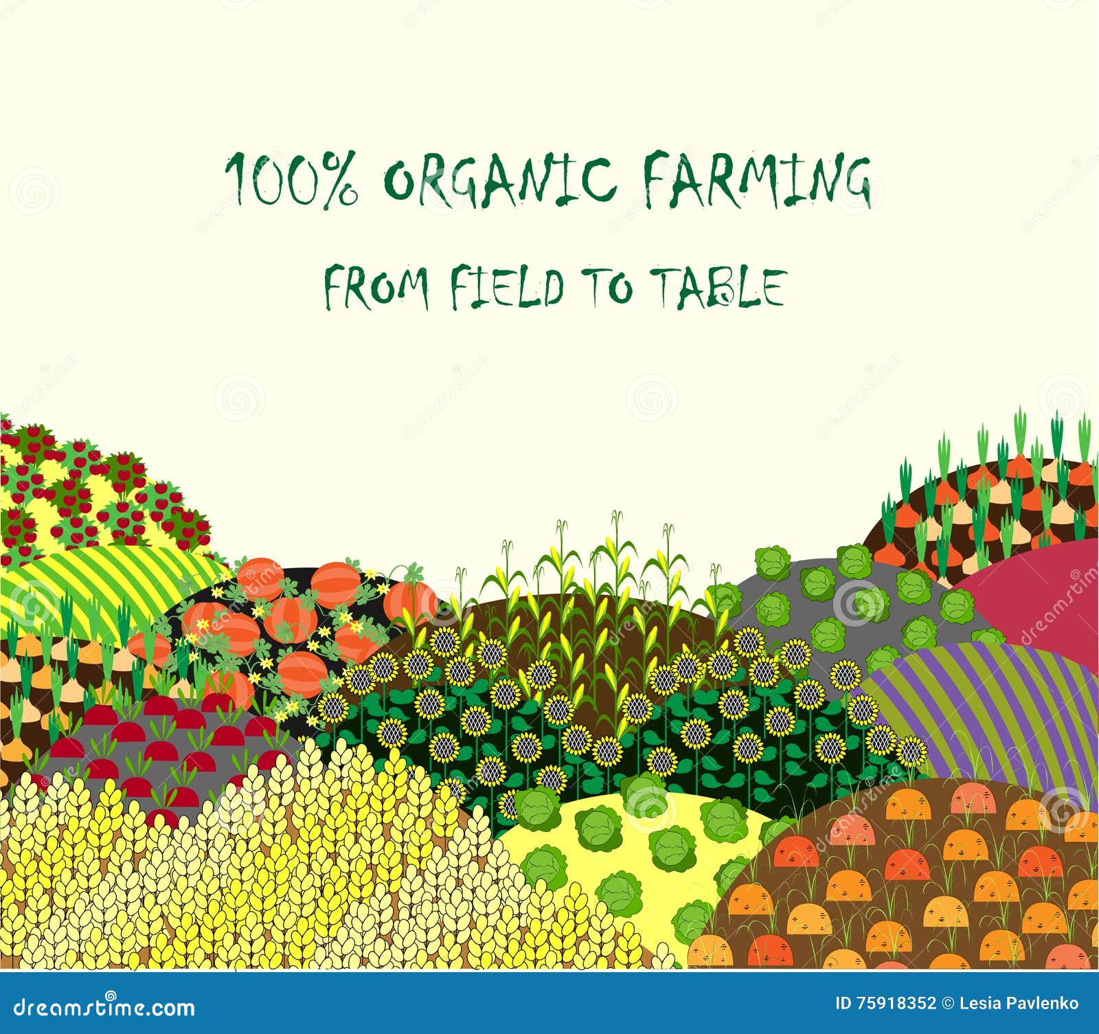 Organic Farming Background. Frame with Plenteous Fields Landscape Stock ...