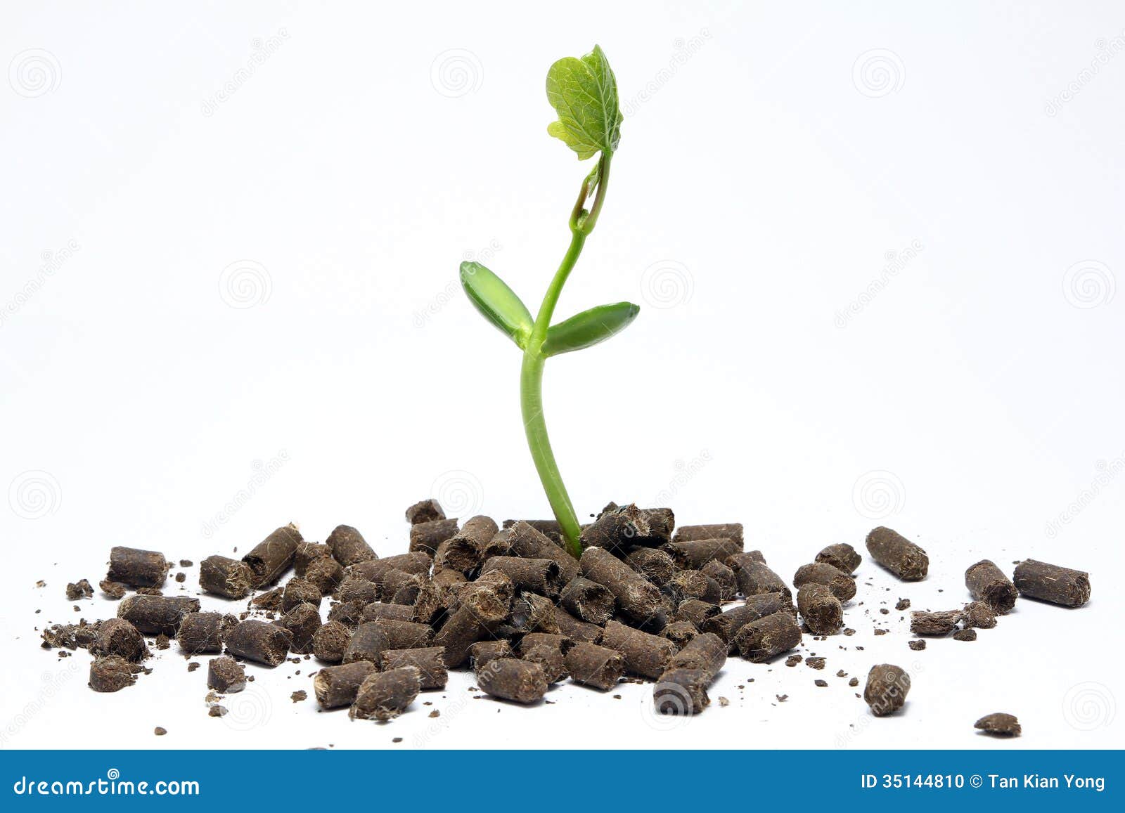 Organic Fertilizer Agriculture Stock Photo - Image of fertilizer, green ...