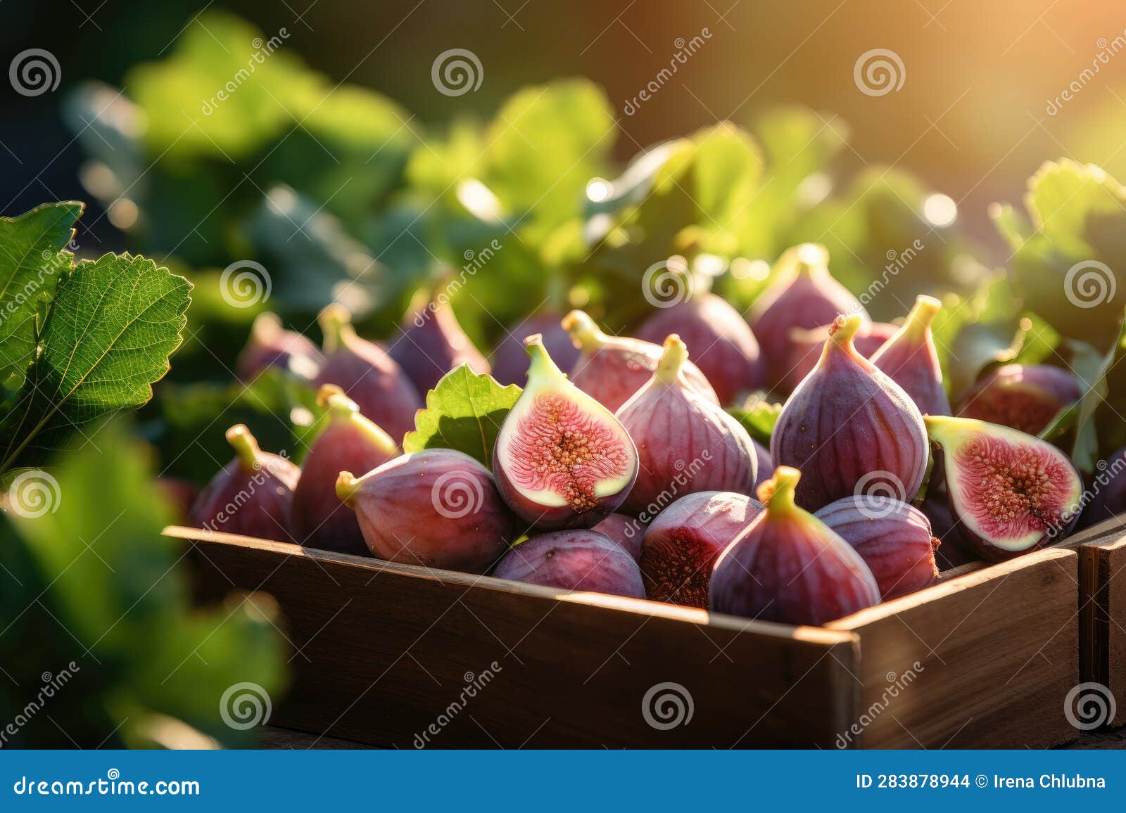 Organic Figs in a Wooden Box. Generative AI Stock Illustration ...