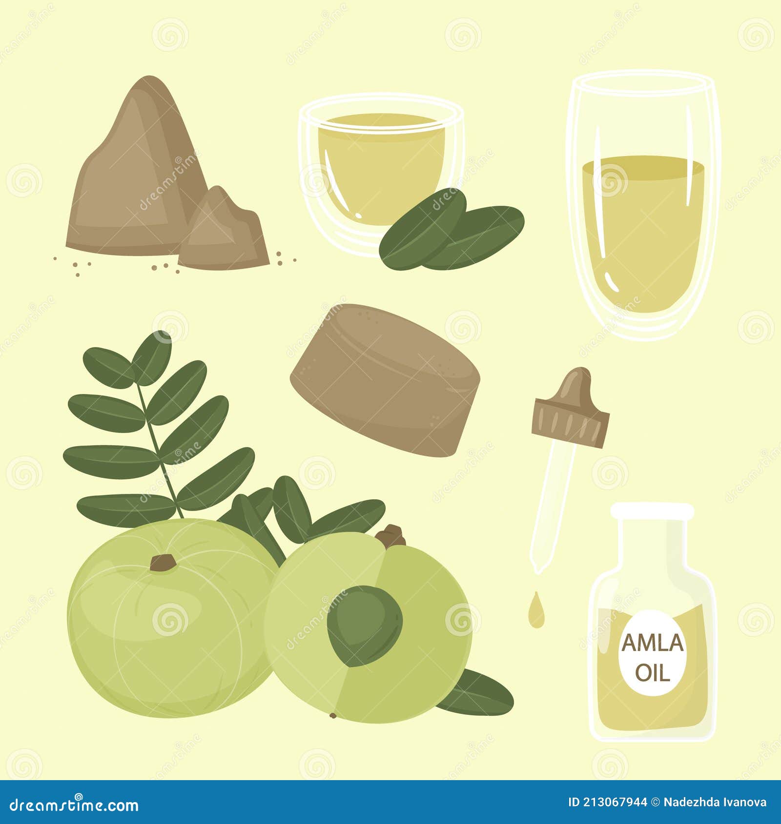 Organic Flat Design Amla Fruit Elements Vector Illustration. Stock ...