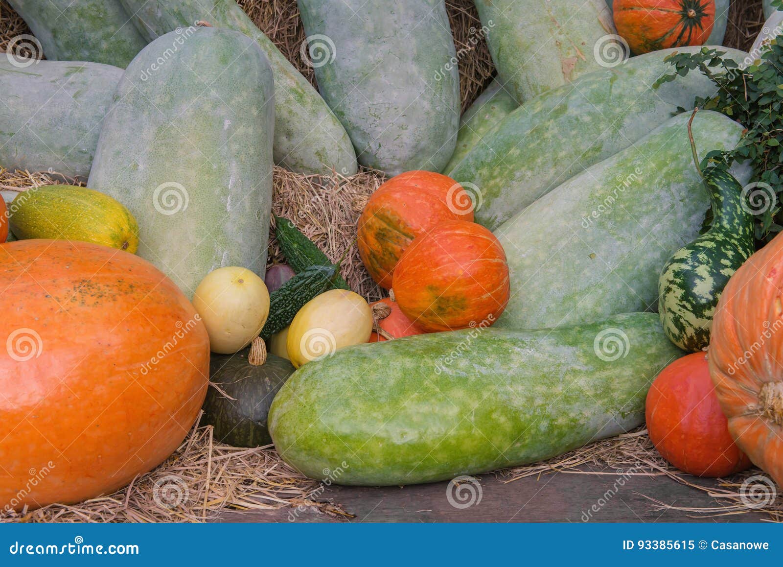 Organic Food with Assorted Raw Vegetables in Garden Stock Image - Image ...