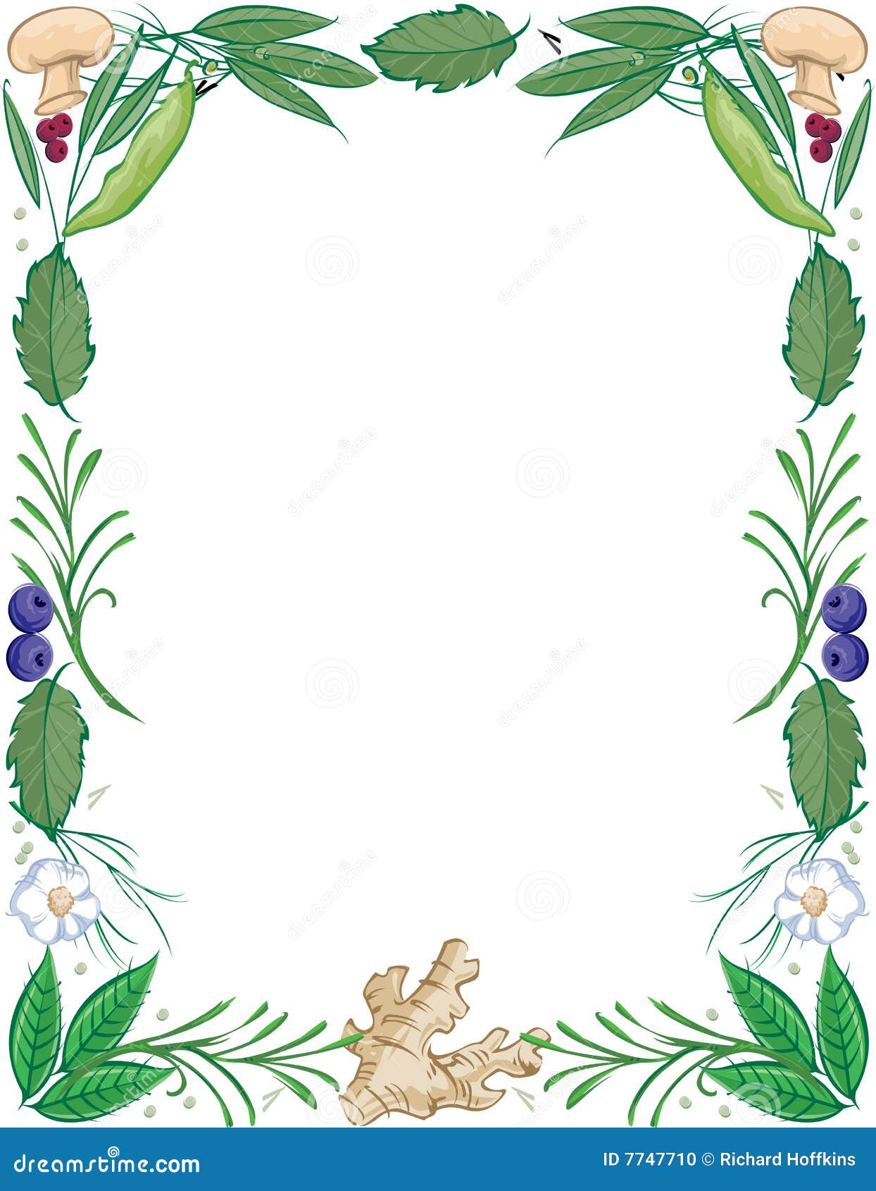 Organic Food Border stock illustration. Illustration of aromatherapy ...