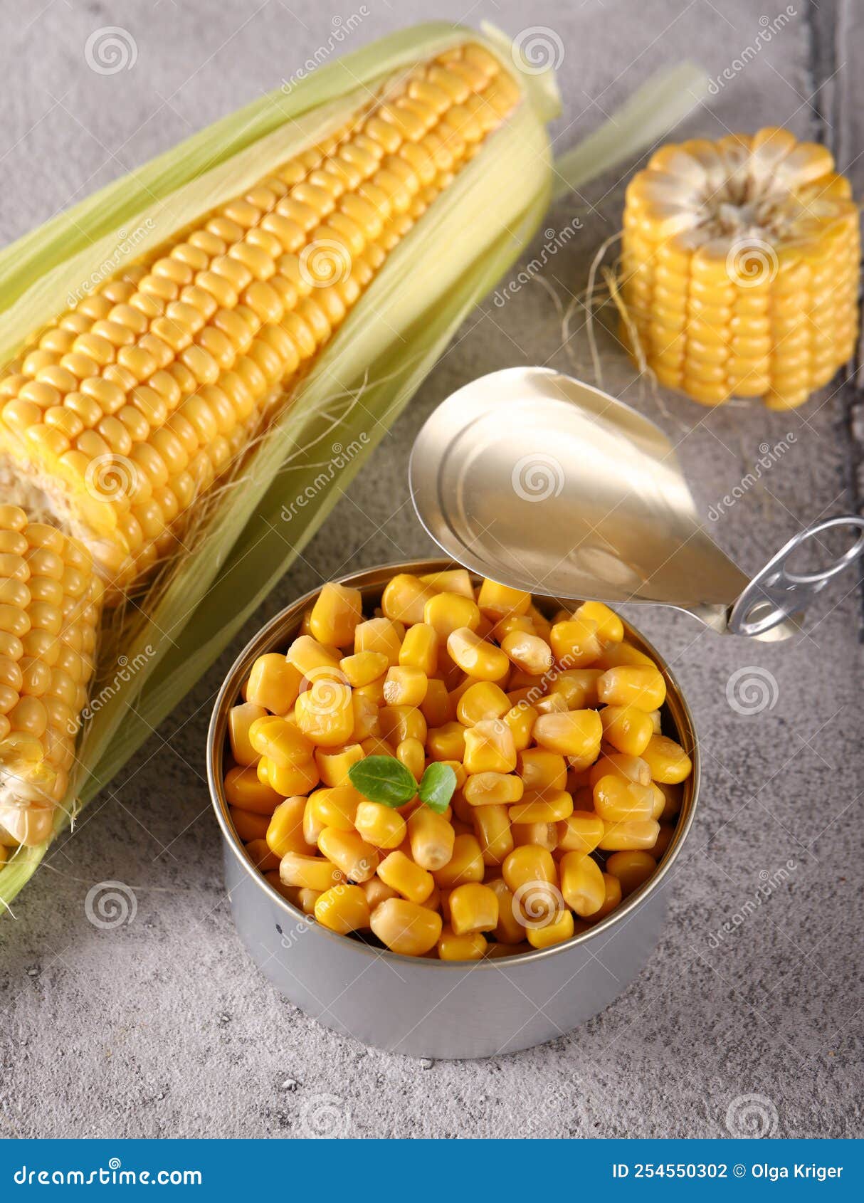 Organic food canned corn stock photo. Image of agriculture - 254550302