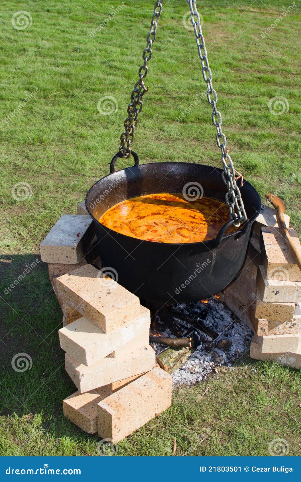 Organic food cooking stock image. Image of vegetable - 21803501